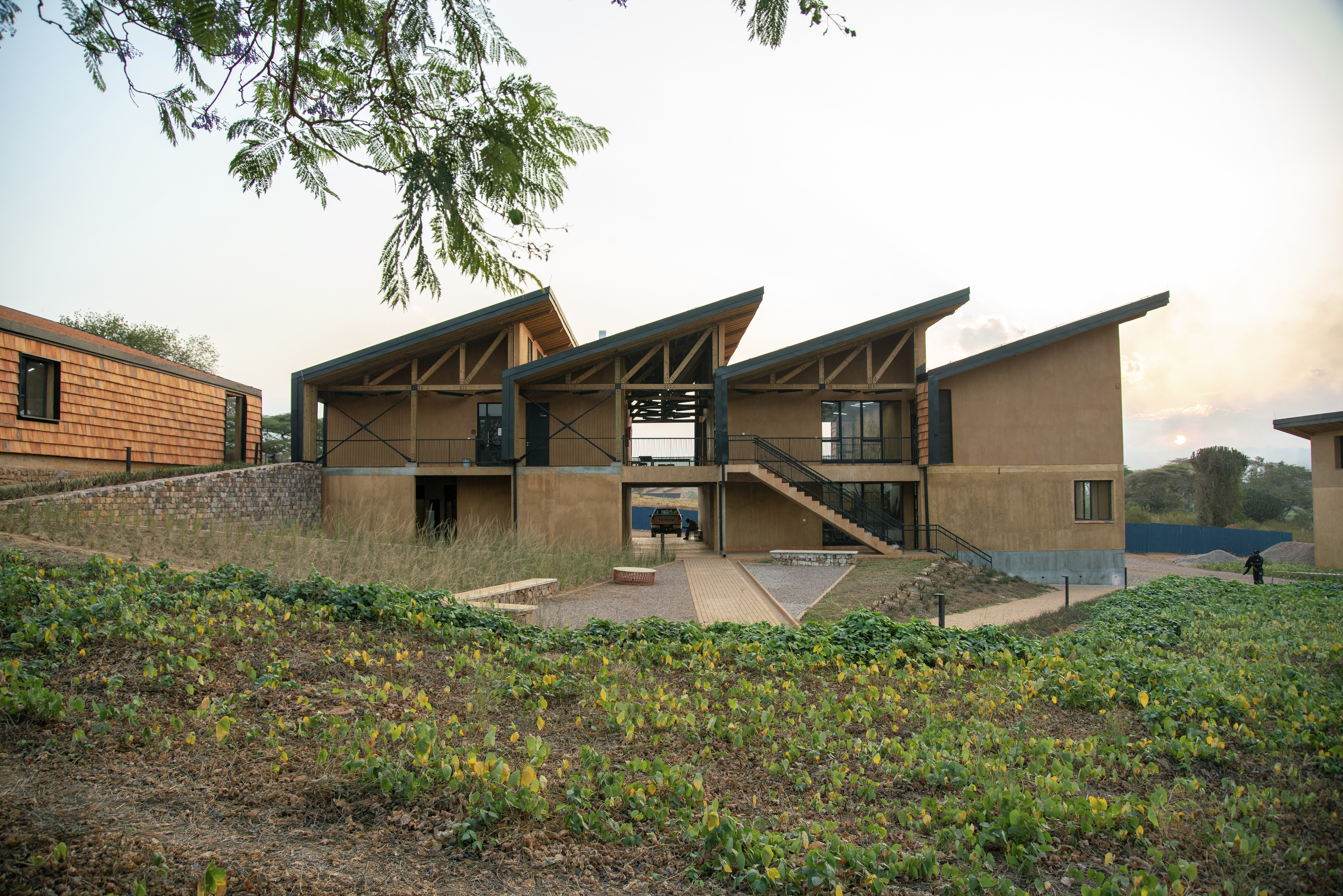 Idea 4192715: The Rwanda Institute for Conservation Agriculture by MASS ...