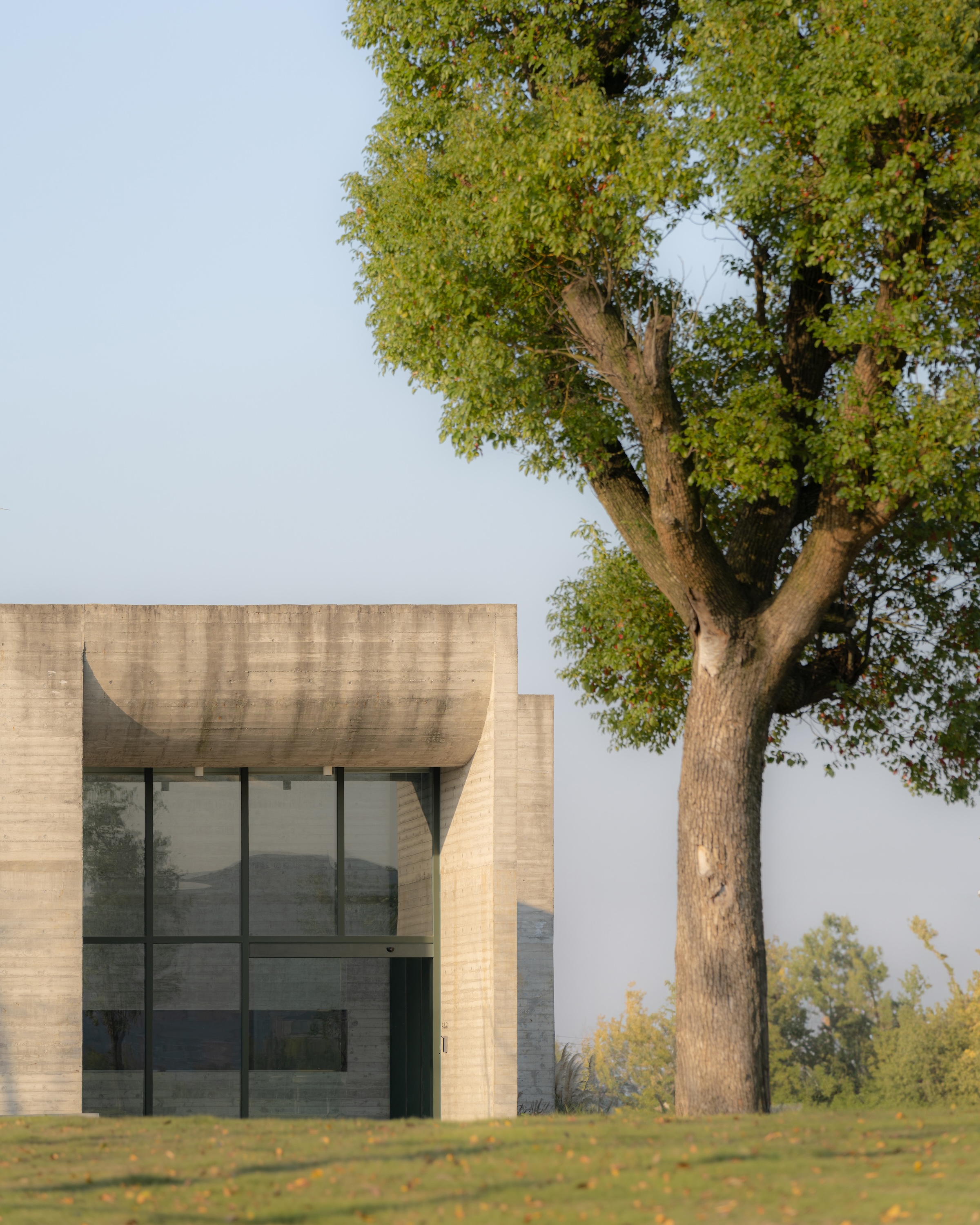 Gingko Gallery by MORE Architecture - Architizer