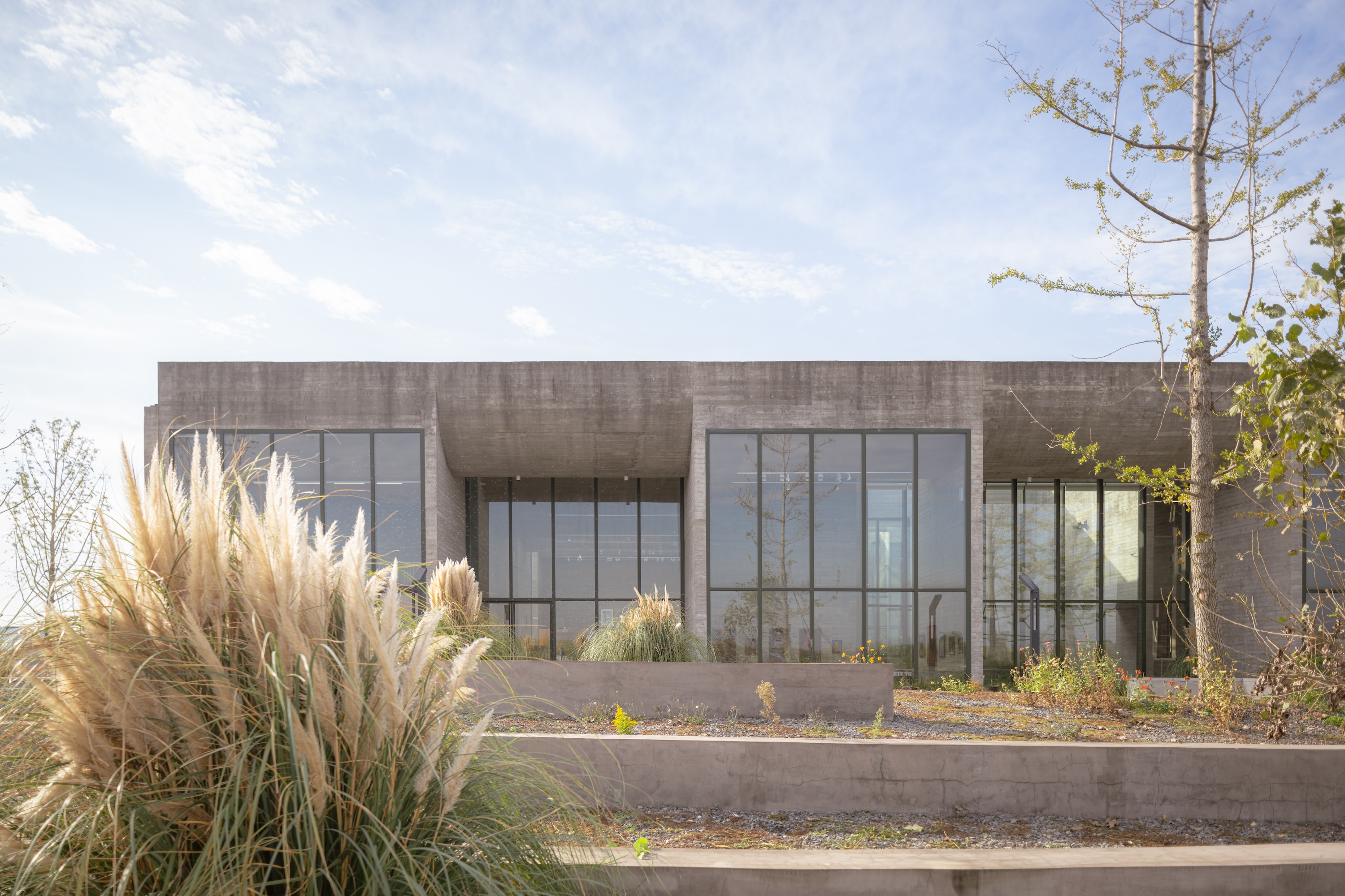 Gingko Gallery by MORE Architecture - Architizer