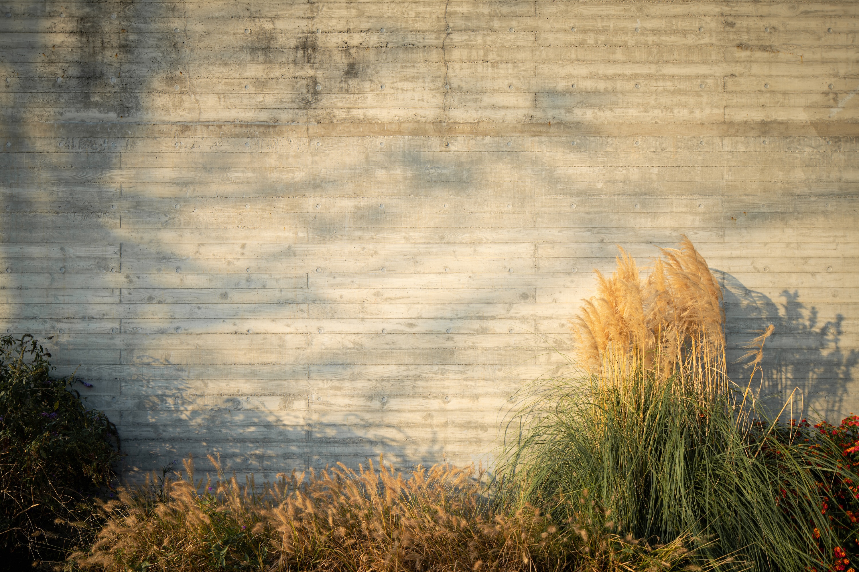 Gingko Gallery by MORE Architecture - Architizer