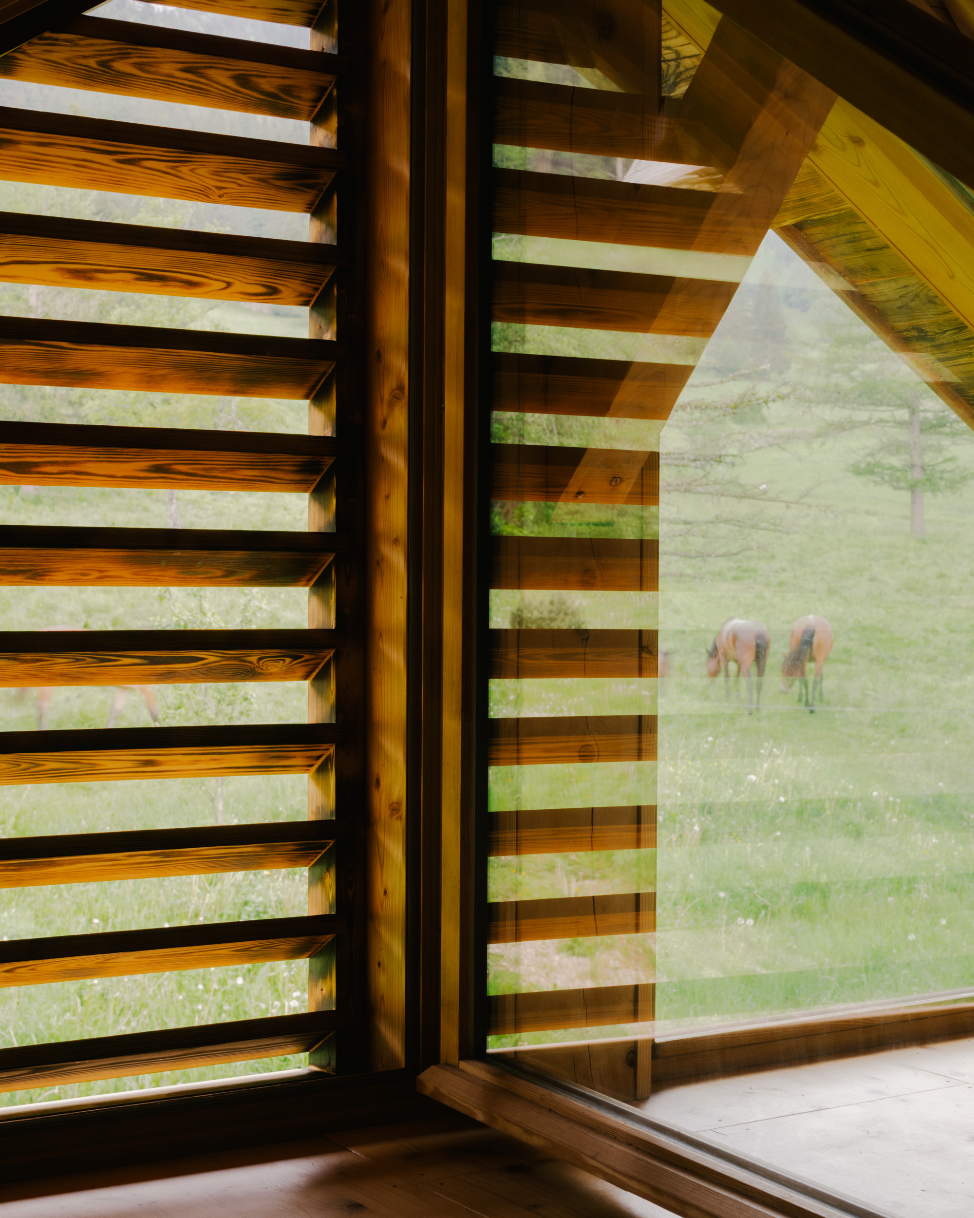 Screened House by onSITE - Architizer