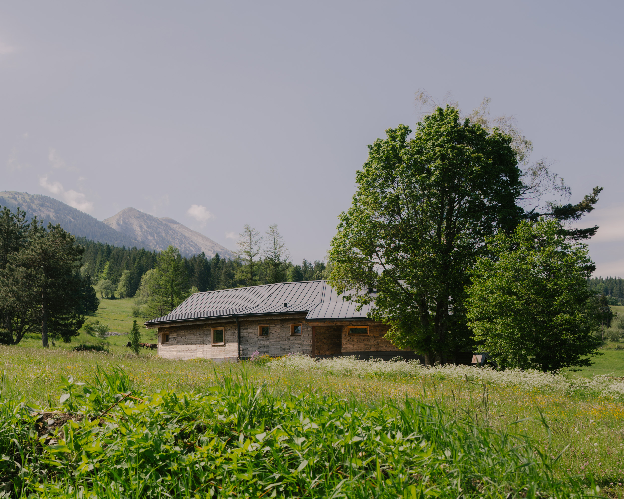 Screened House by onSITE - Architizer