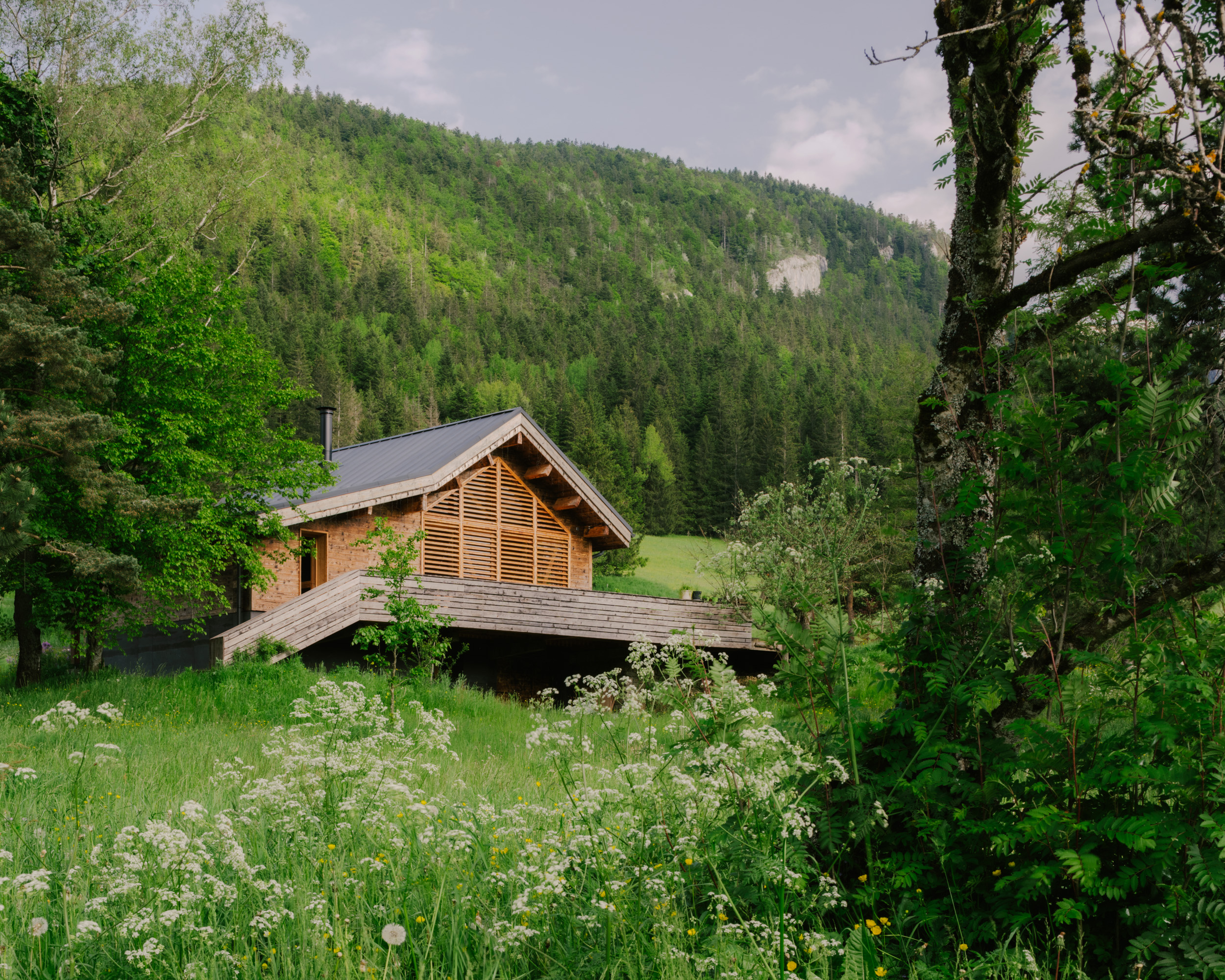 Screened House by onSITE - Architizer