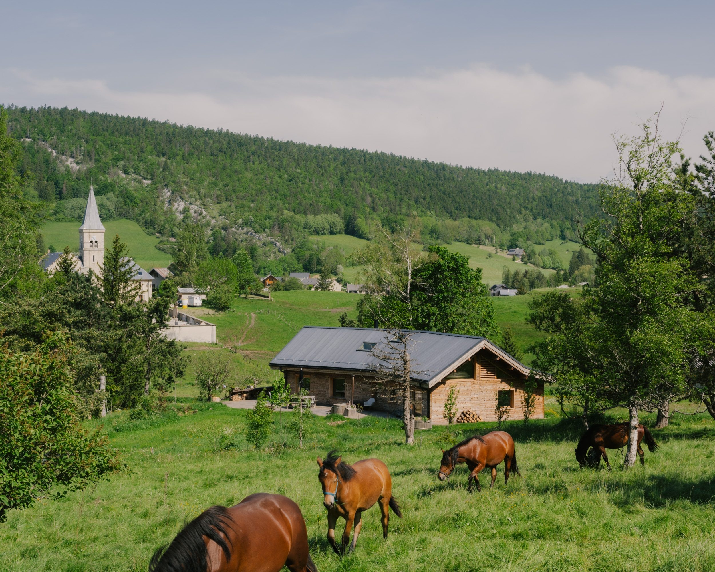 Screened House by onSITE - Architizer