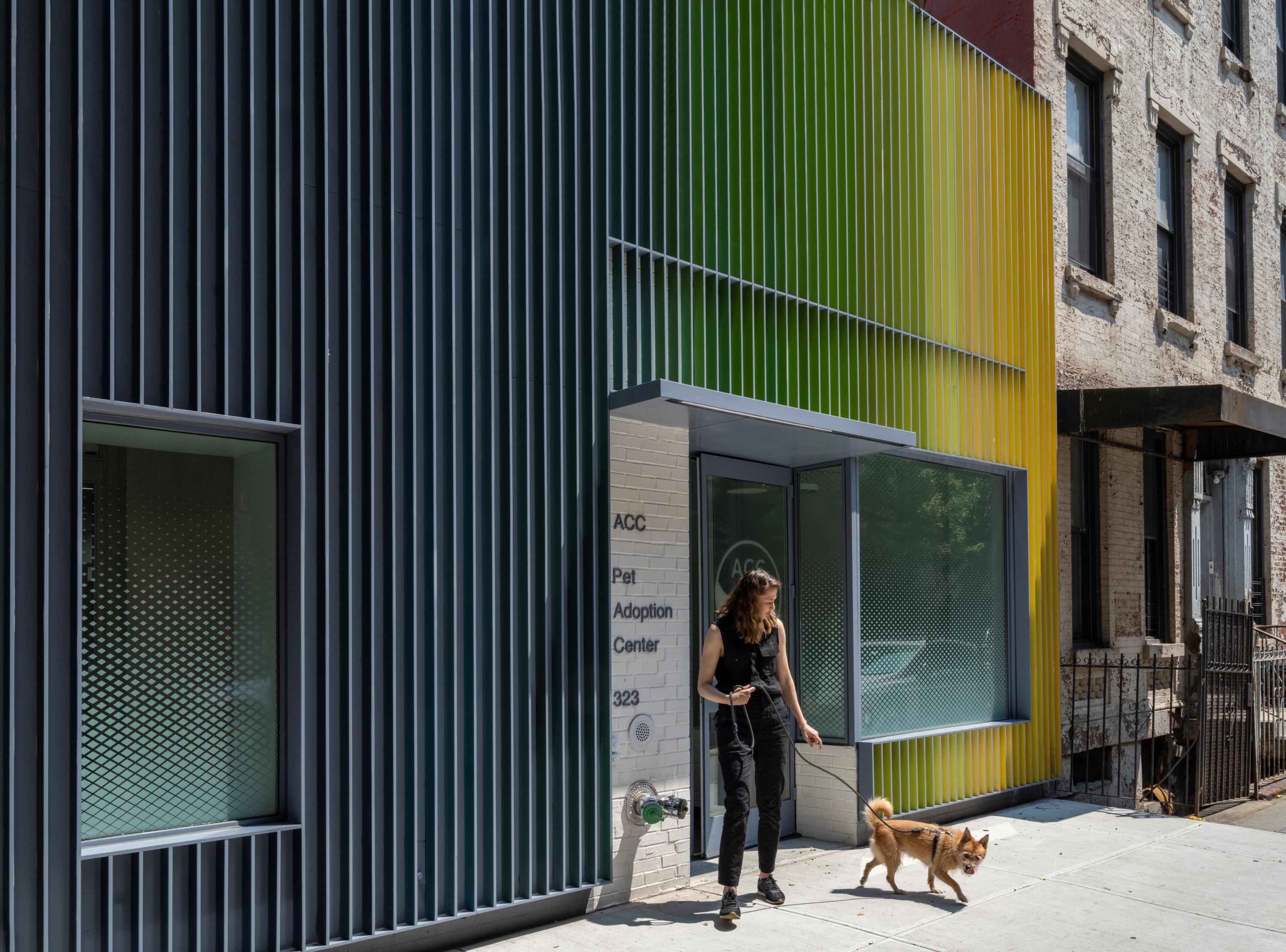 Manhattan Pet Adoption Center by Studio Joseph - Architizer