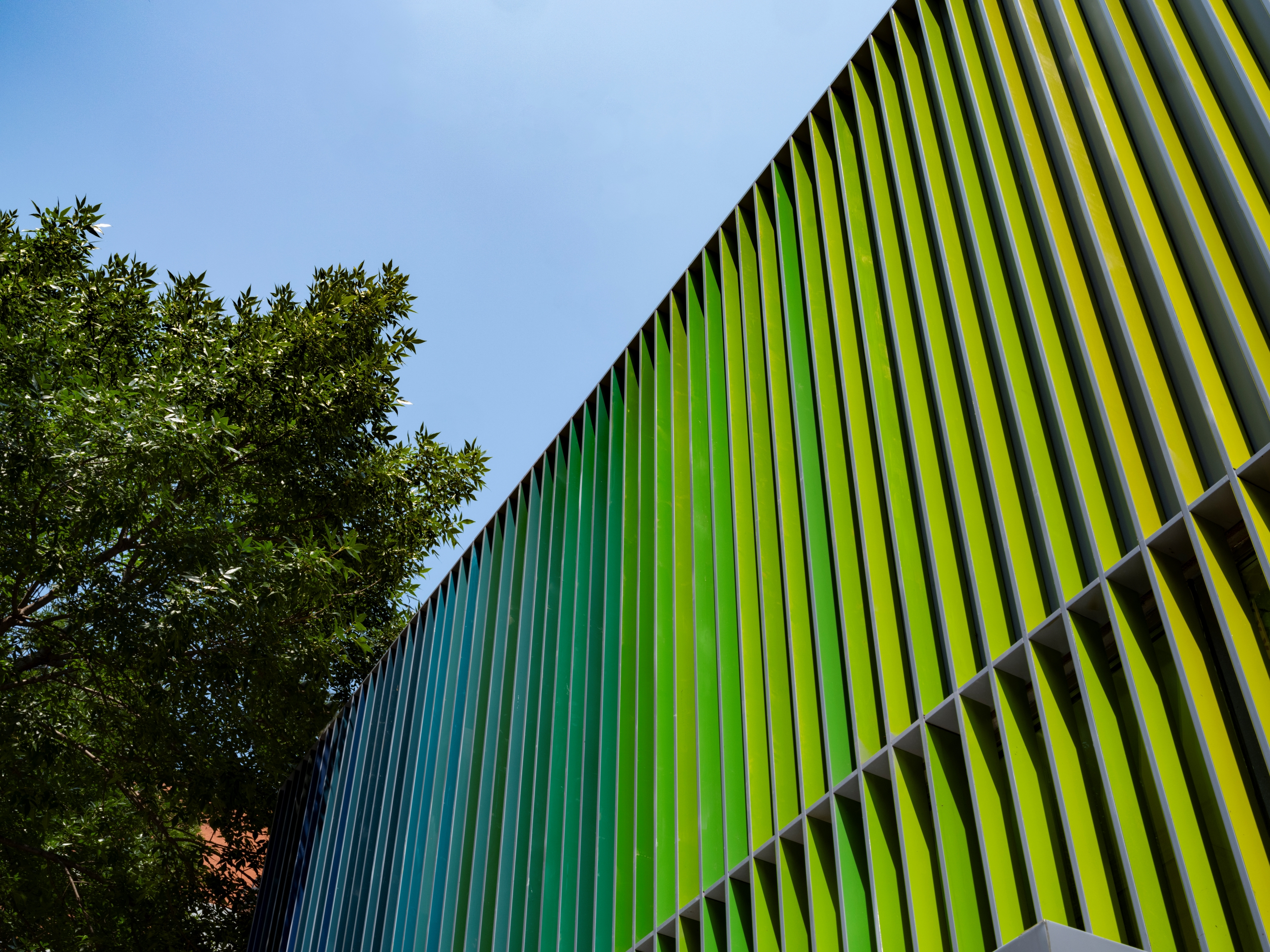 Manhattan Pet Adoption Center by Studio Joseph - Architizer