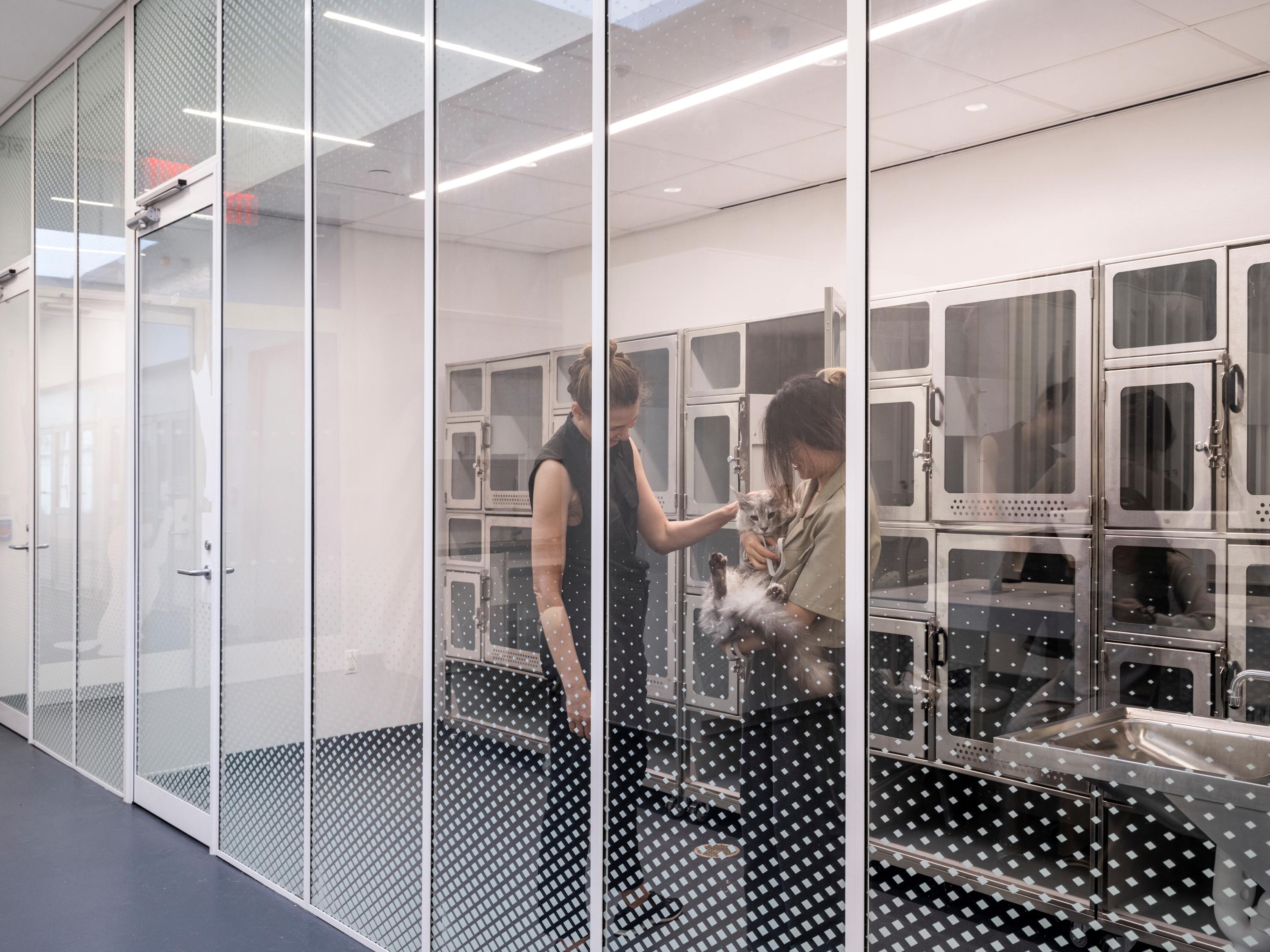Manhattan Pet Adoption Center by Studio Joseph - Architizer