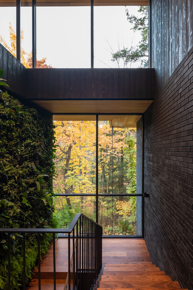 Ravine House by Orangeink Design - Architizer
