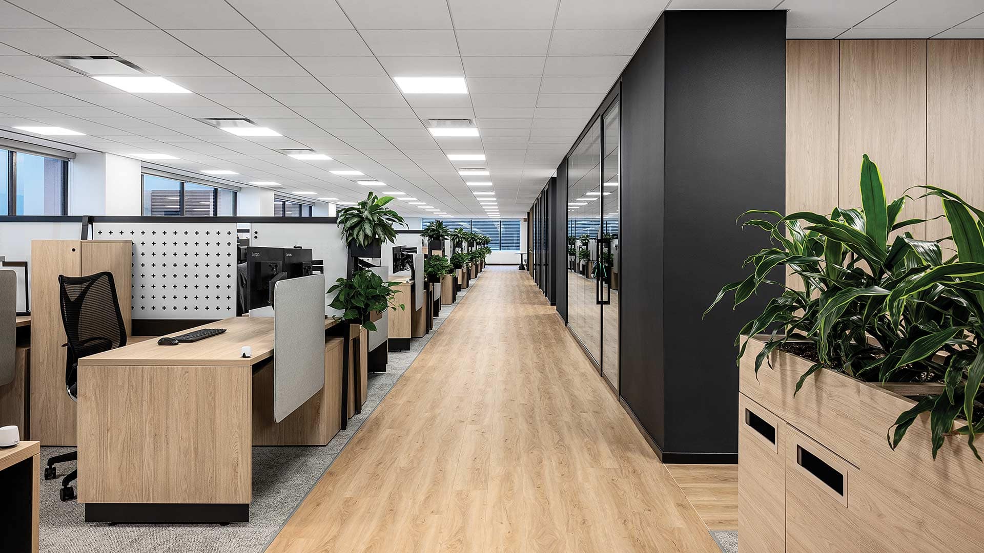 RioCan by Acuity - Architizer