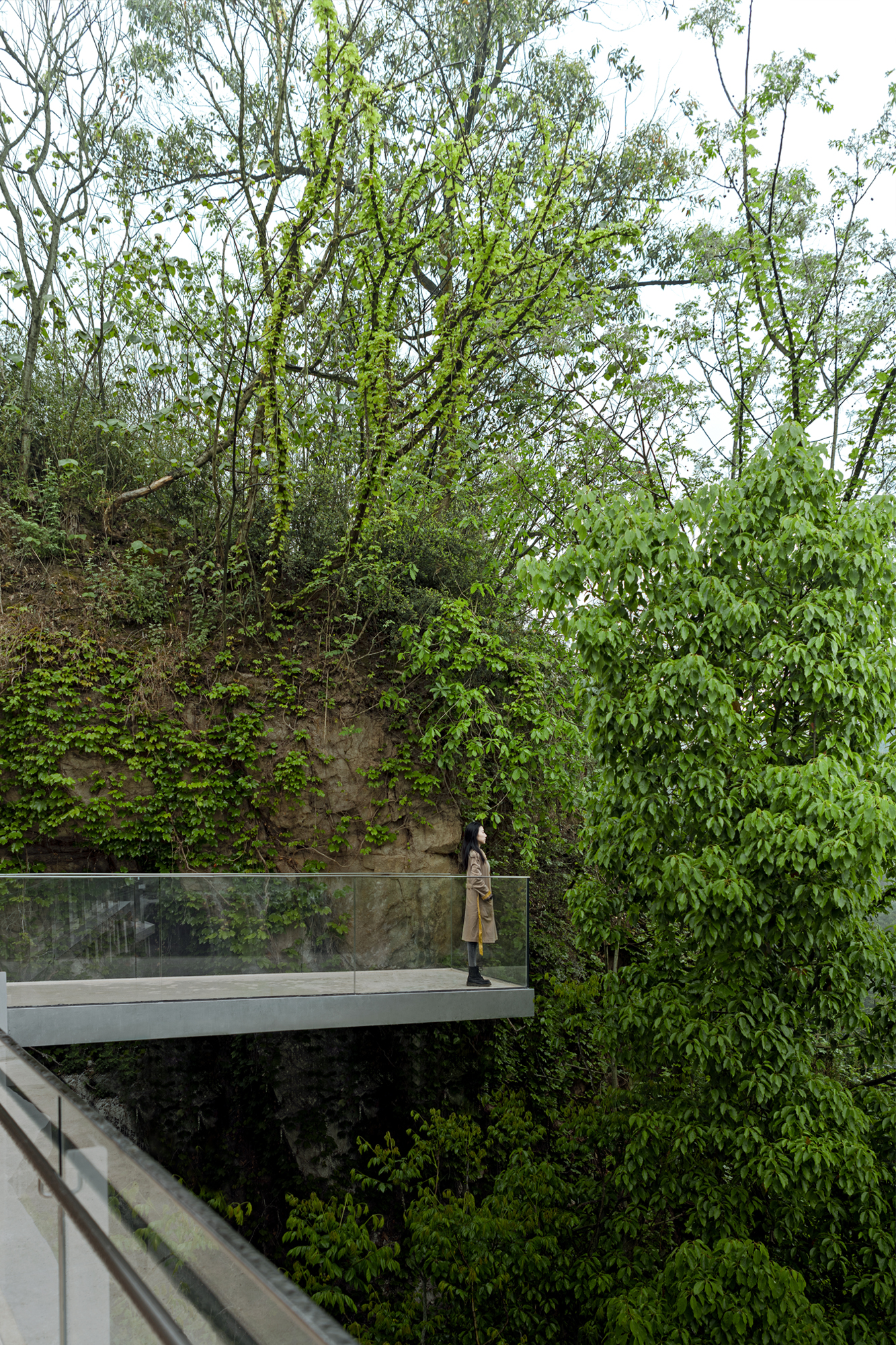 Mysterious Valley Forest | Chongqing CR Land 𝐂𝐄𝐍𝐓𝐑𝐀𝐋 𝐌𝐀𝐍𝐎𝐑 by 承迹景观 ...