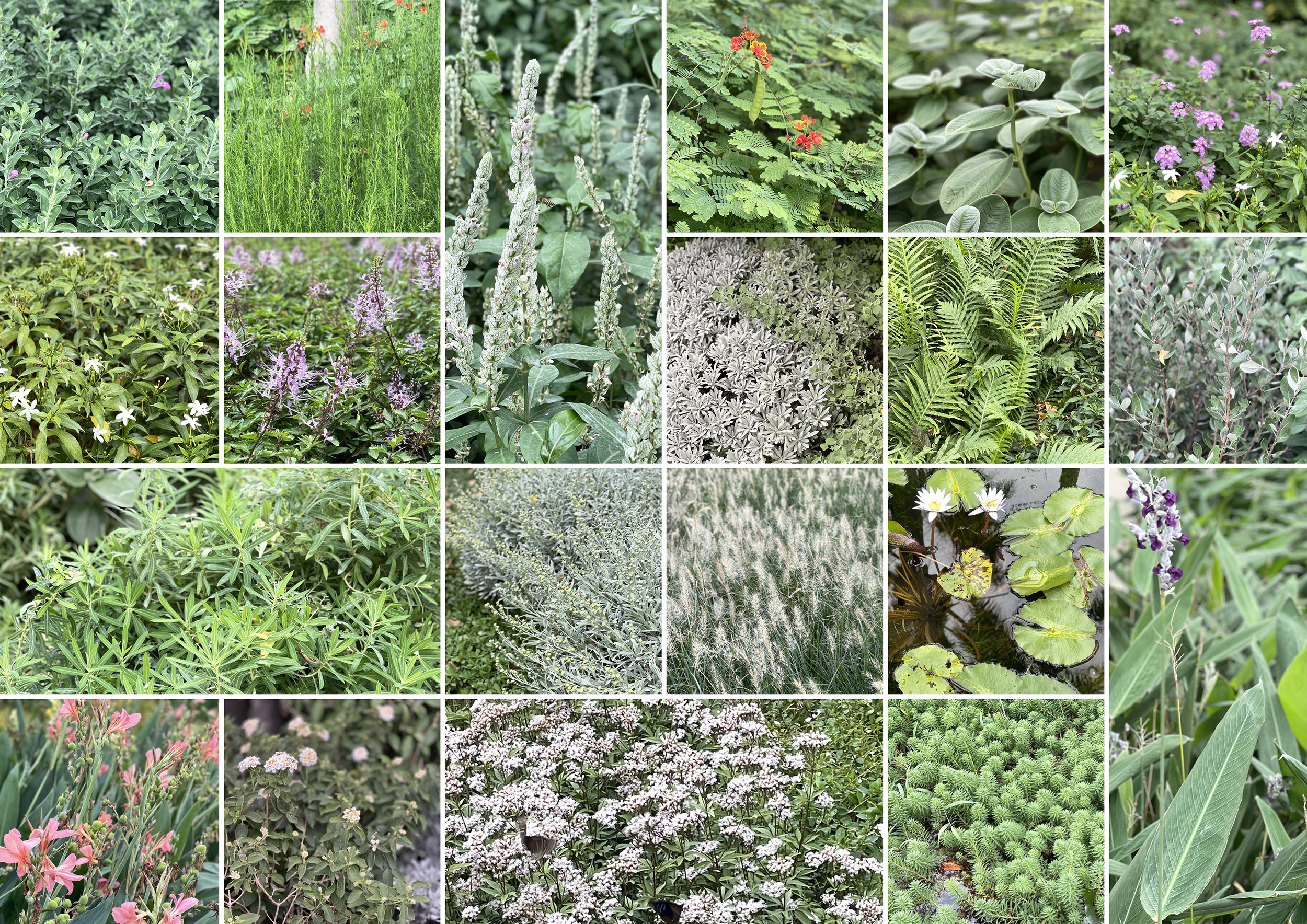 A Sanctuary for the Soul｜ Shunde Yunlu Wetland Pavilion by Change Studio - Architizer