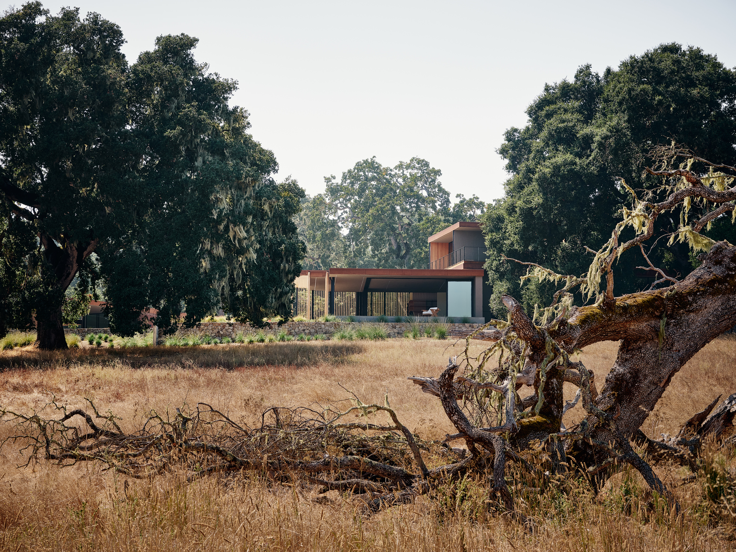 Meadow House by Mark English Architects - Architizer