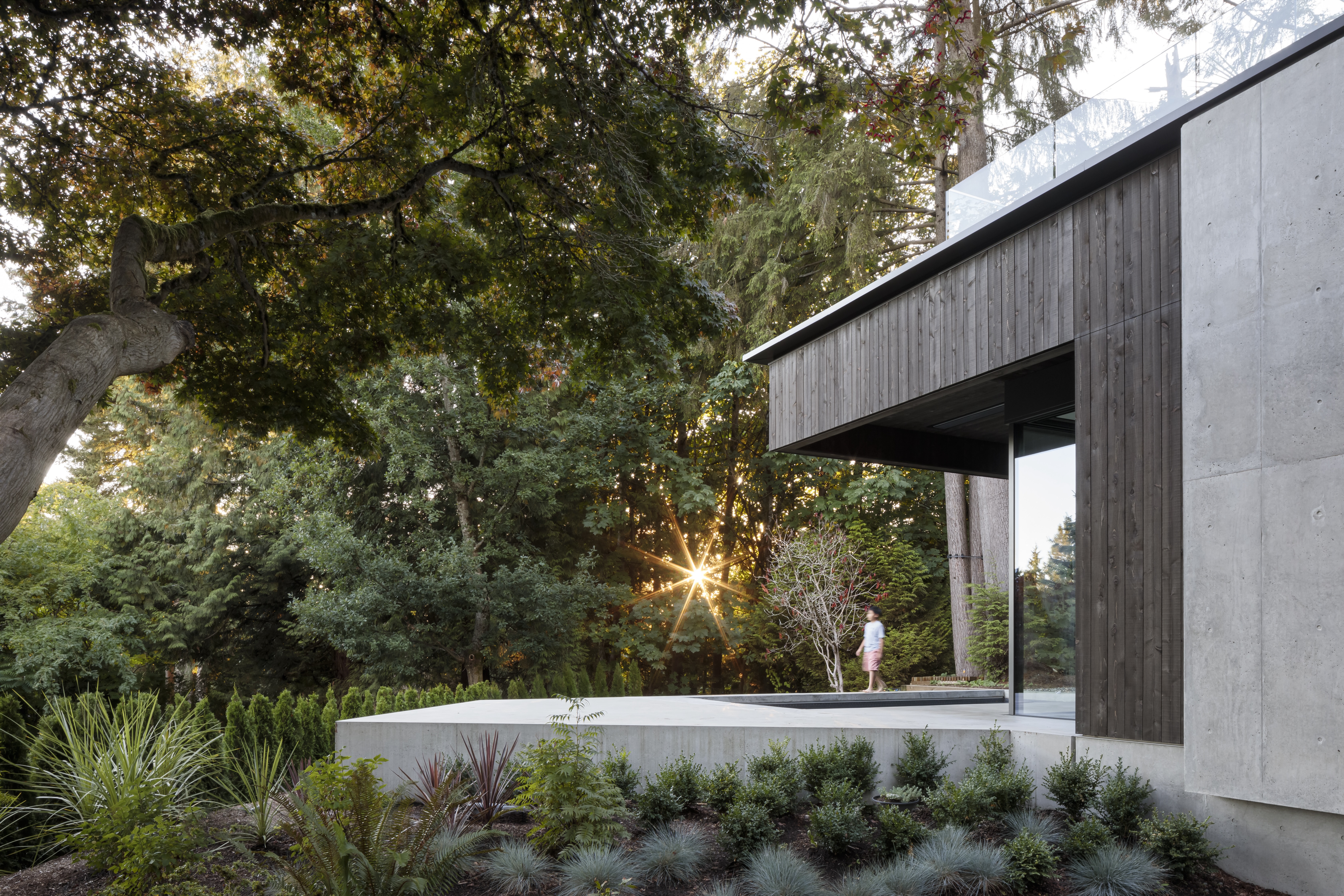 Ravine House by D'Arcy Jones Architects - Architizer