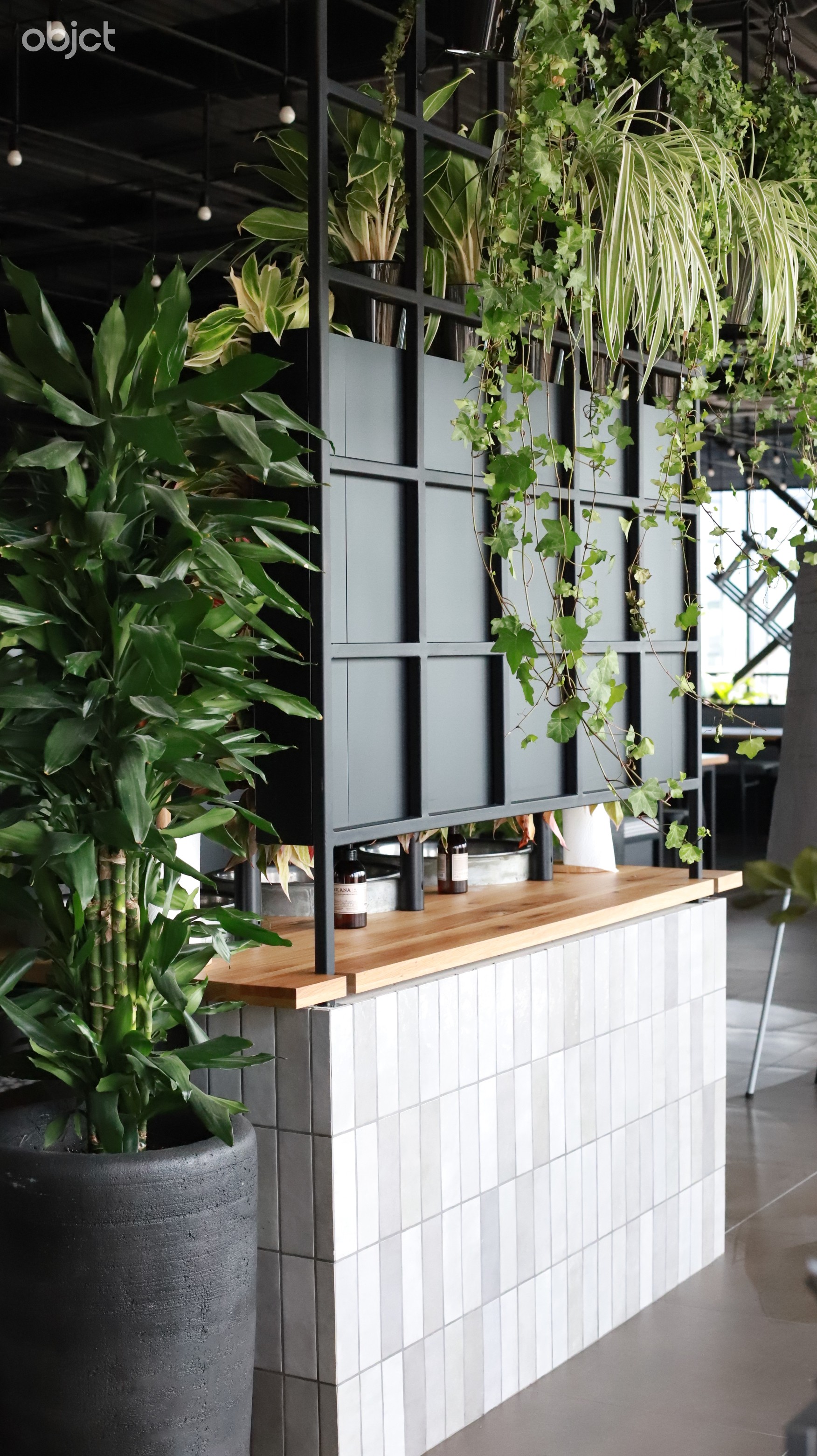 GRASS cafeteria: built-in nature, open zoning by Object - Architizer