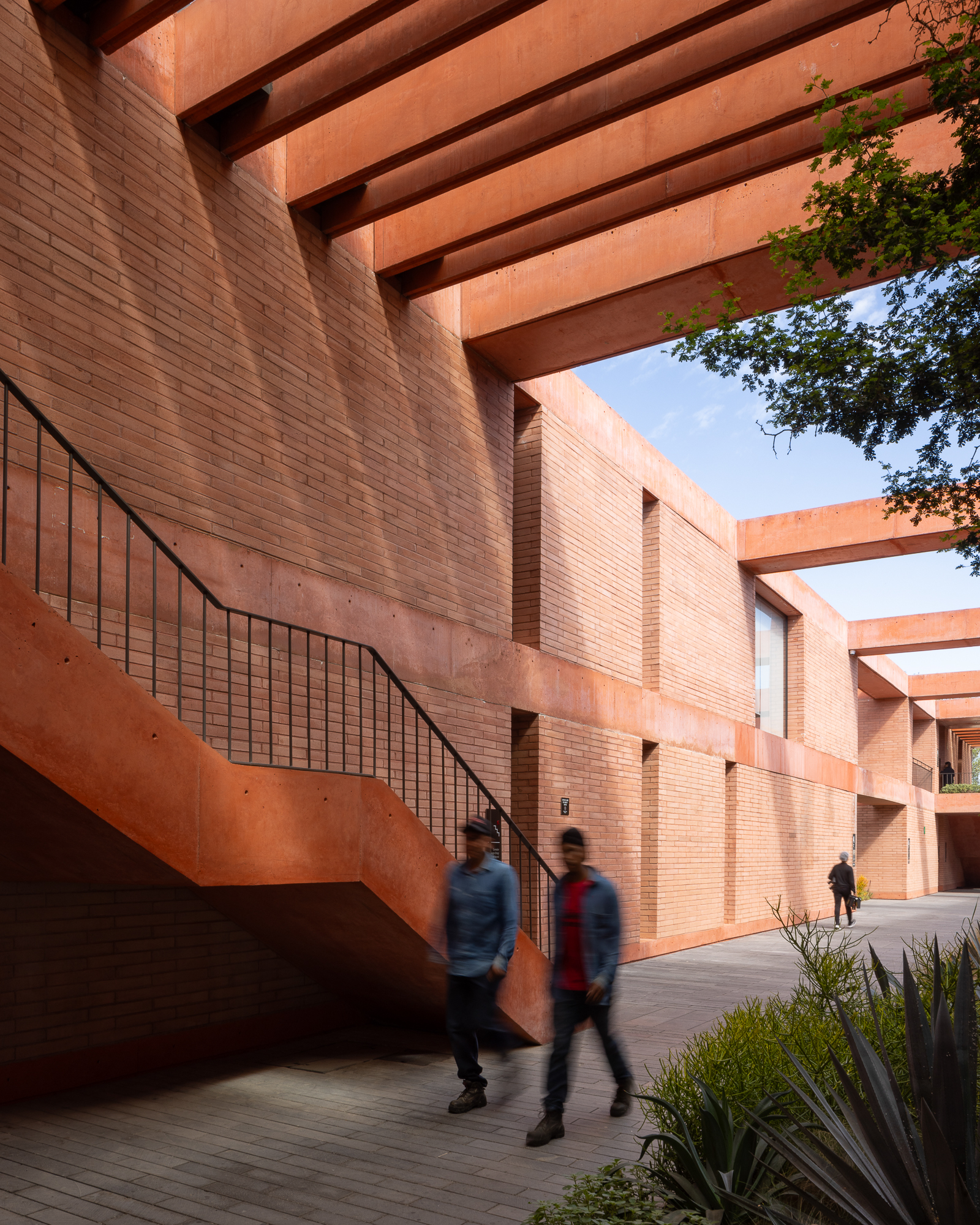 Academia Atlas by Sordo Madaleno - Architizer