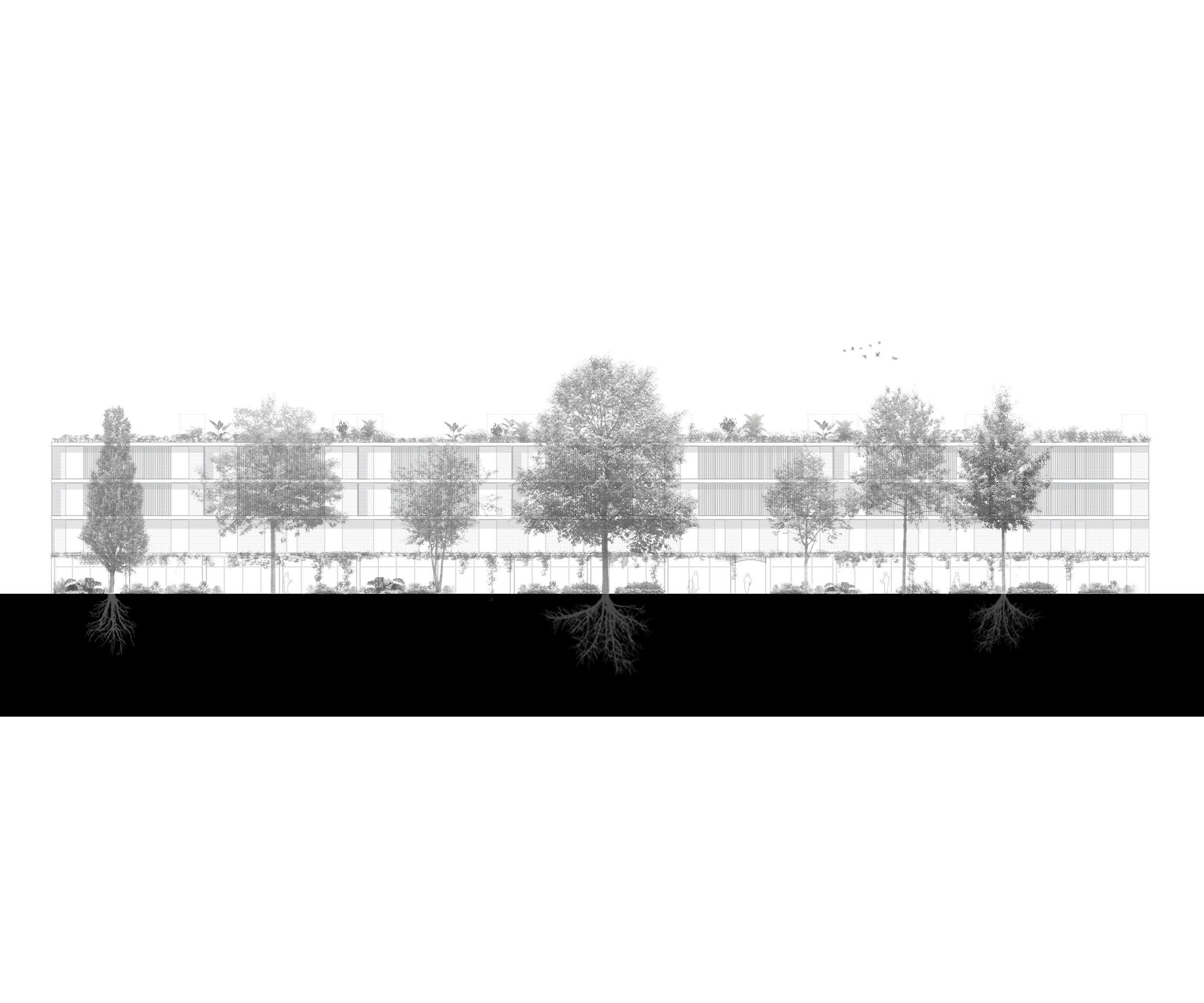 Ruysdaelstraat - Amsterdam by Jofre Roca Taller d'Arquitectura - Architizer