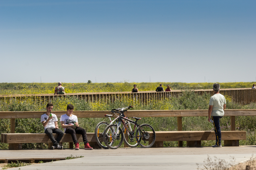 Tagus Linear Park by TOPIARIS Landscape Architecture - Architizer