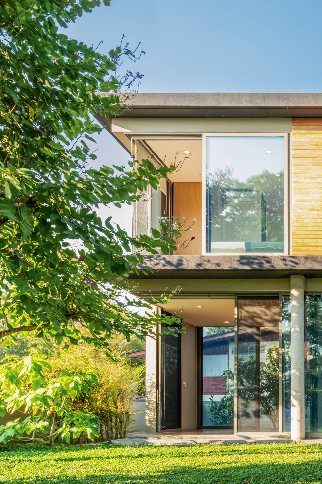 Rain Tree House by Hanabitate Architects - Architizer