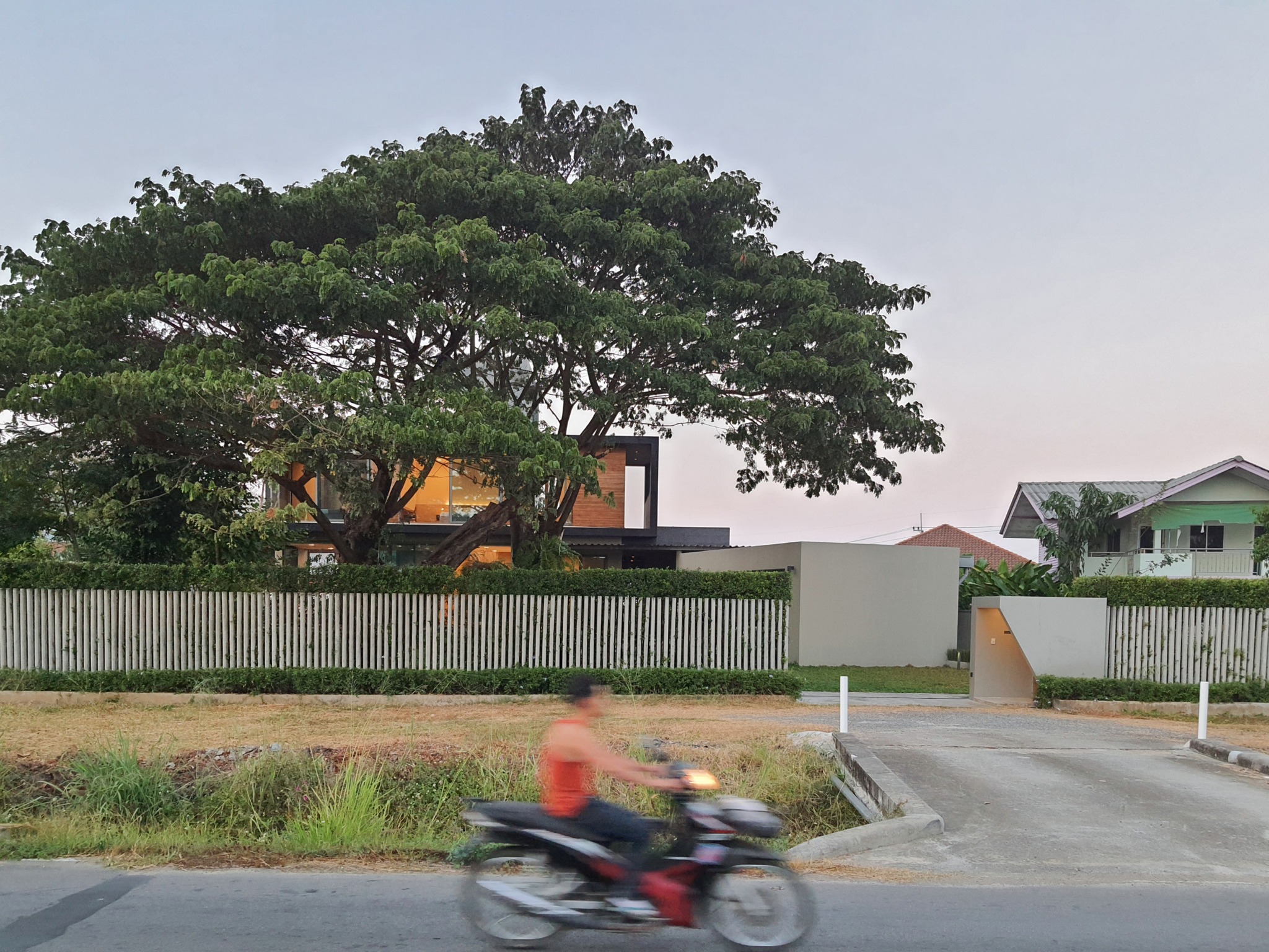 Rain Tree House by Hanabitate Architects - Architizer