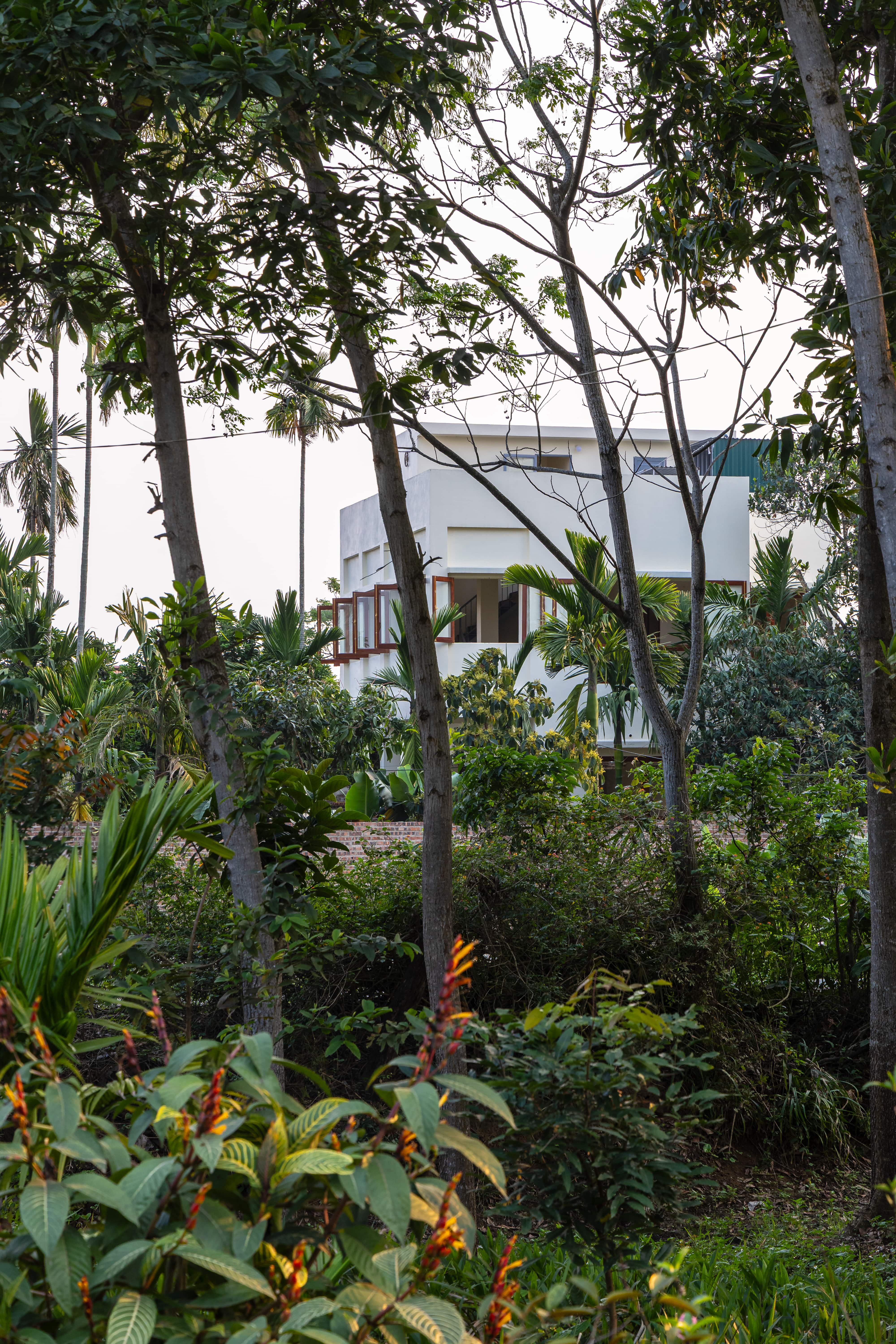 COMAY HOUSE by NTAA Architects - Architizer