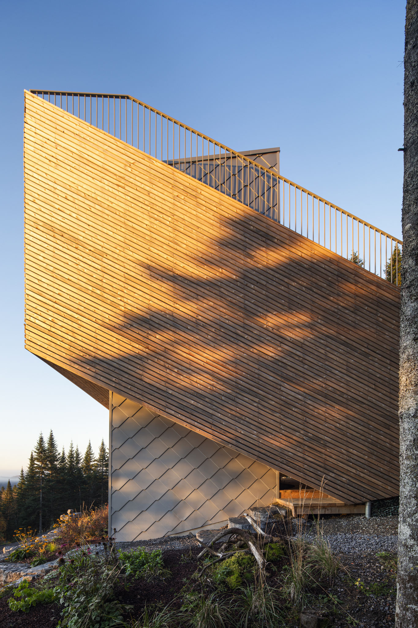 Peace by QUINZHEE Architecture - Architizer