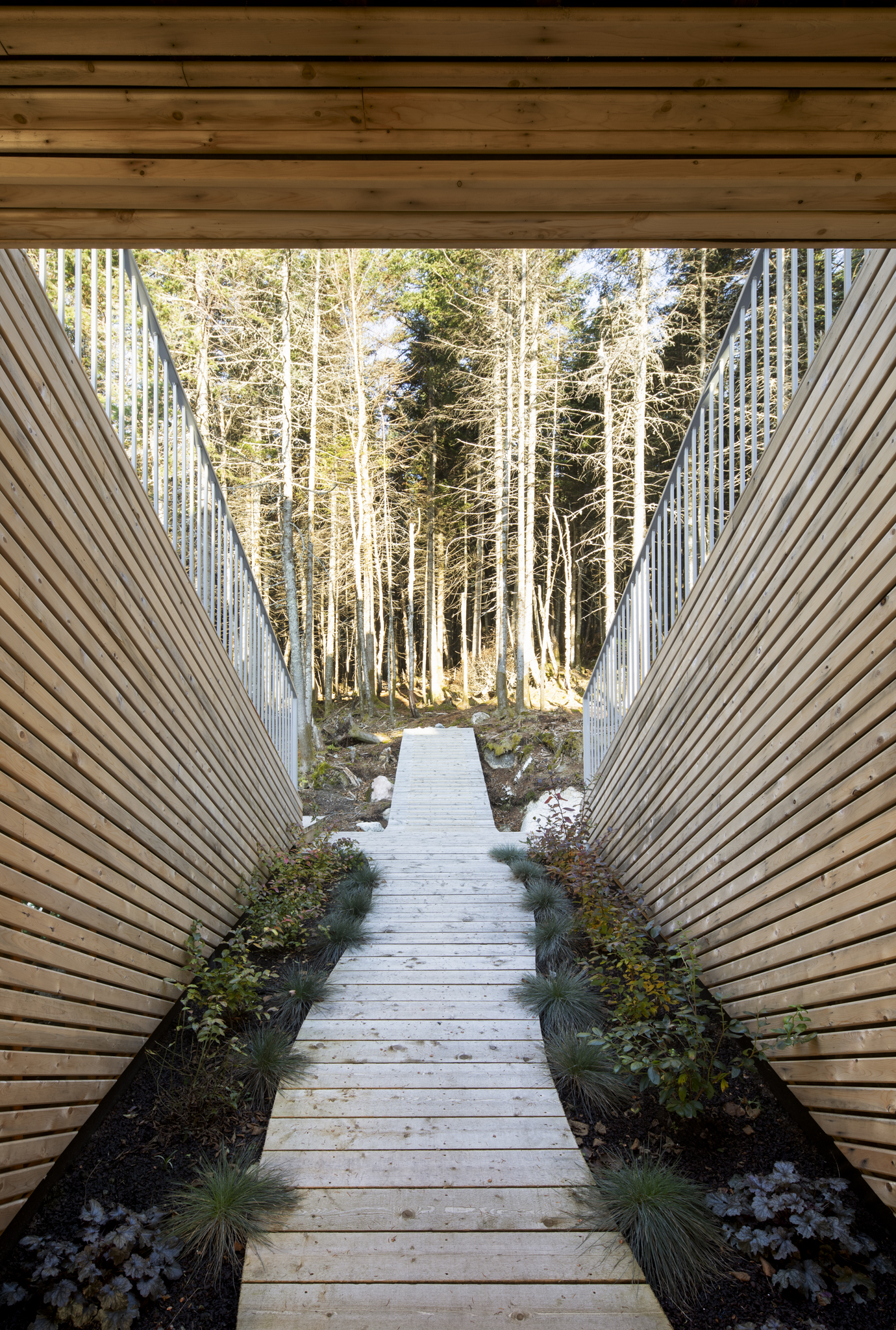 Peace by QUINZHEE Architecture - Architizer