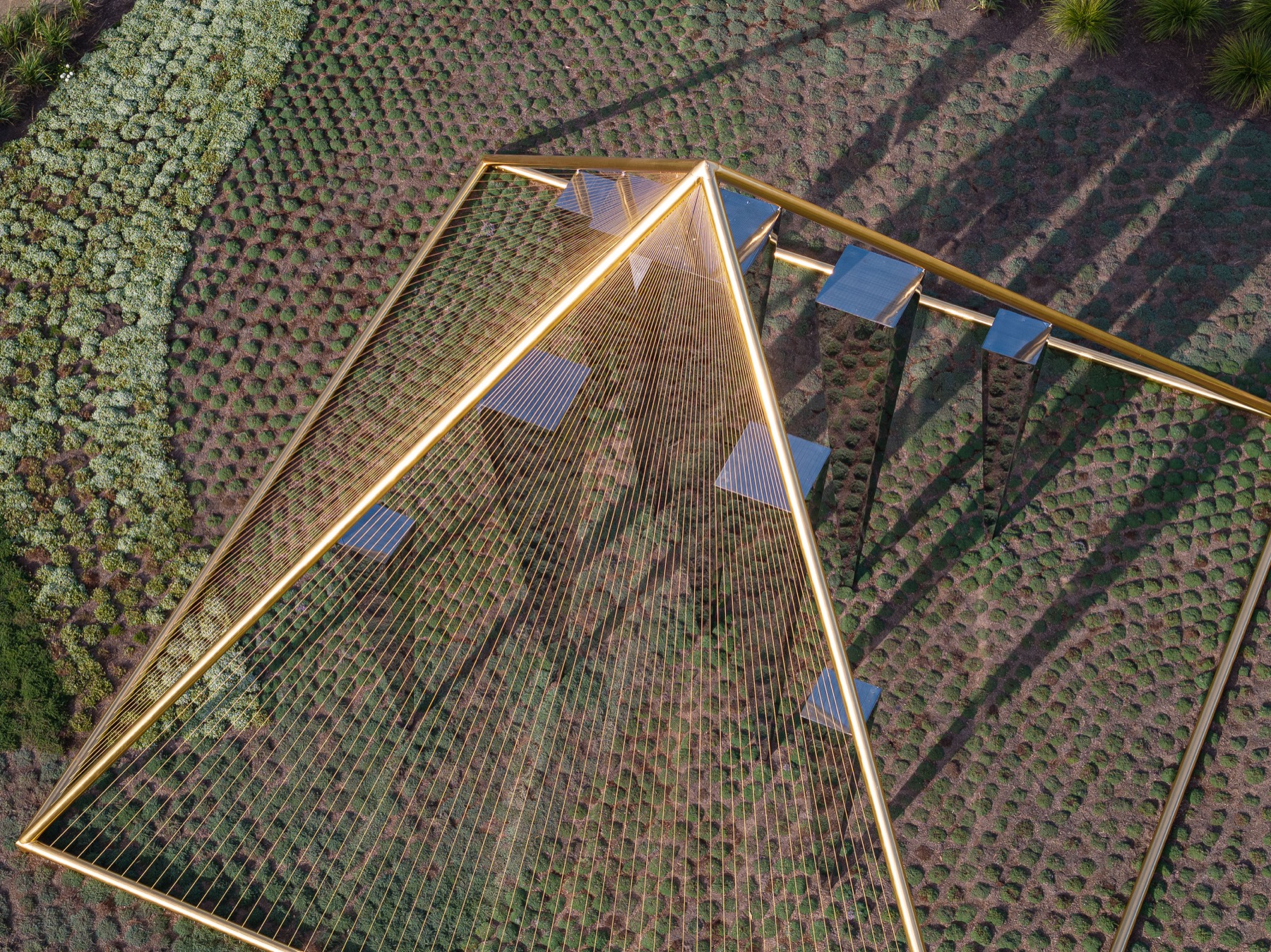 Sensory Garden at the Donum Estate by Arterra Landscape Architects ...