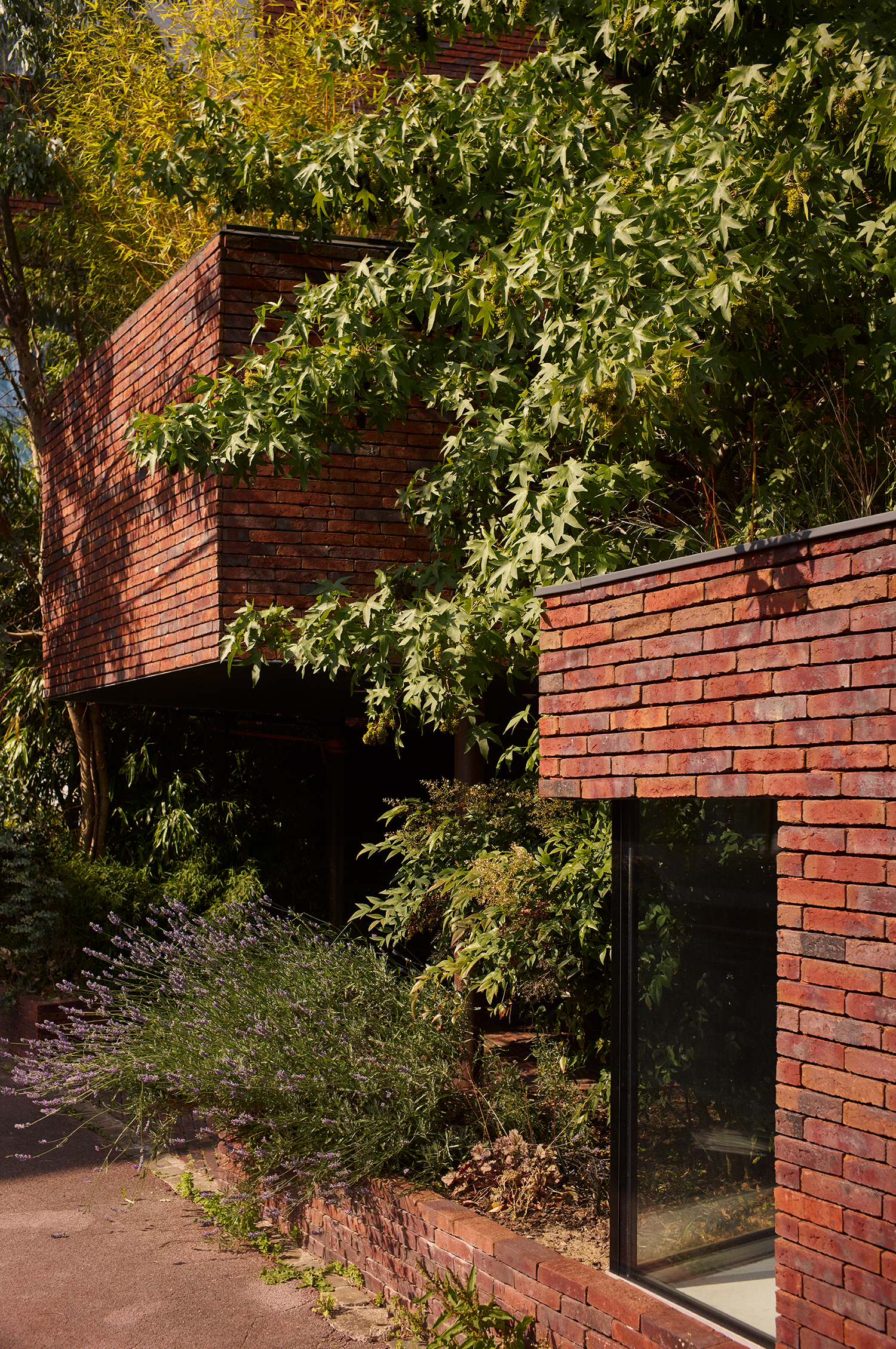 House V_17 by Emma Weiss Architecte + Lydéric Veauvy (TANK) by TANK ...