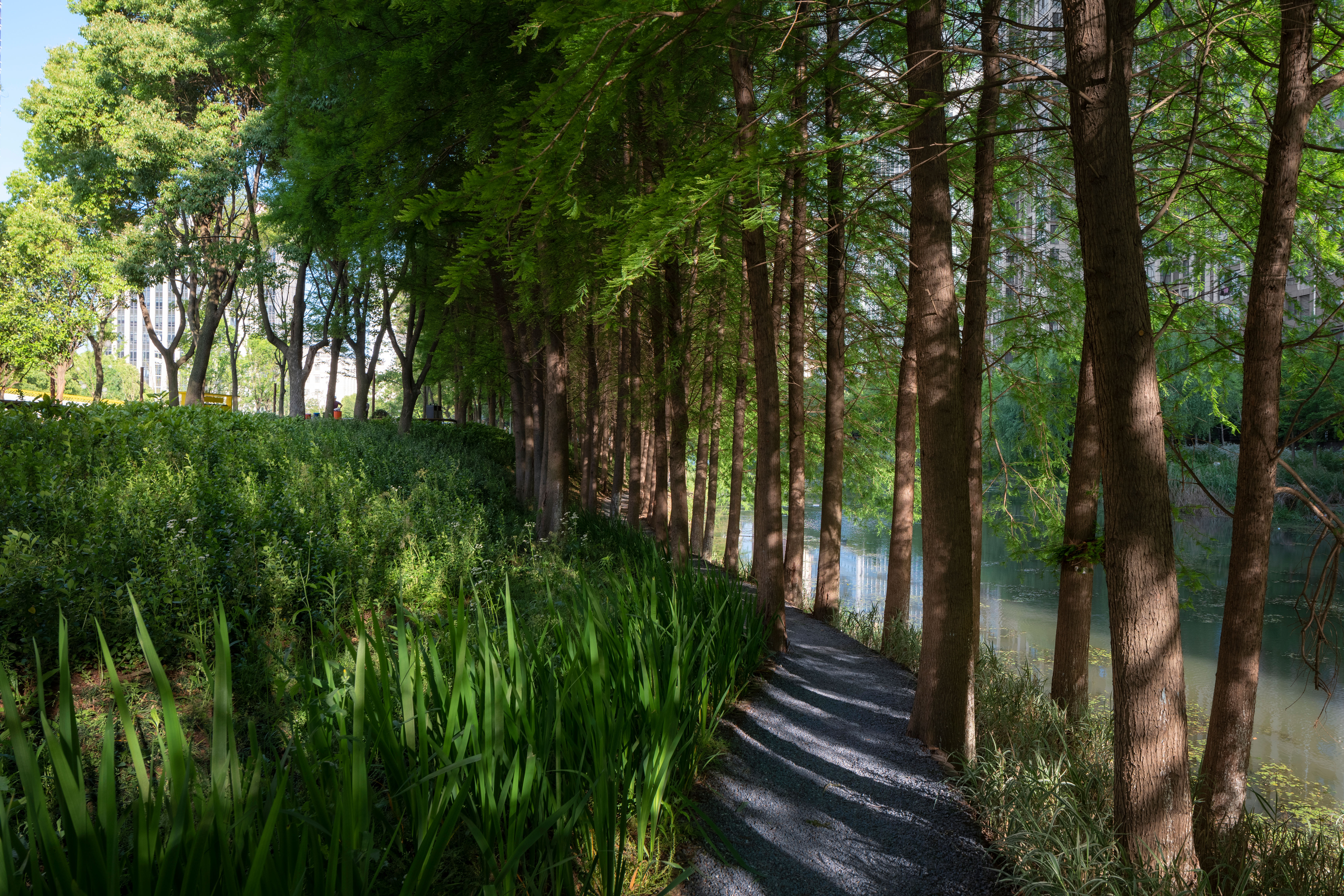 The Orchestra Park by SoBA - Architizer