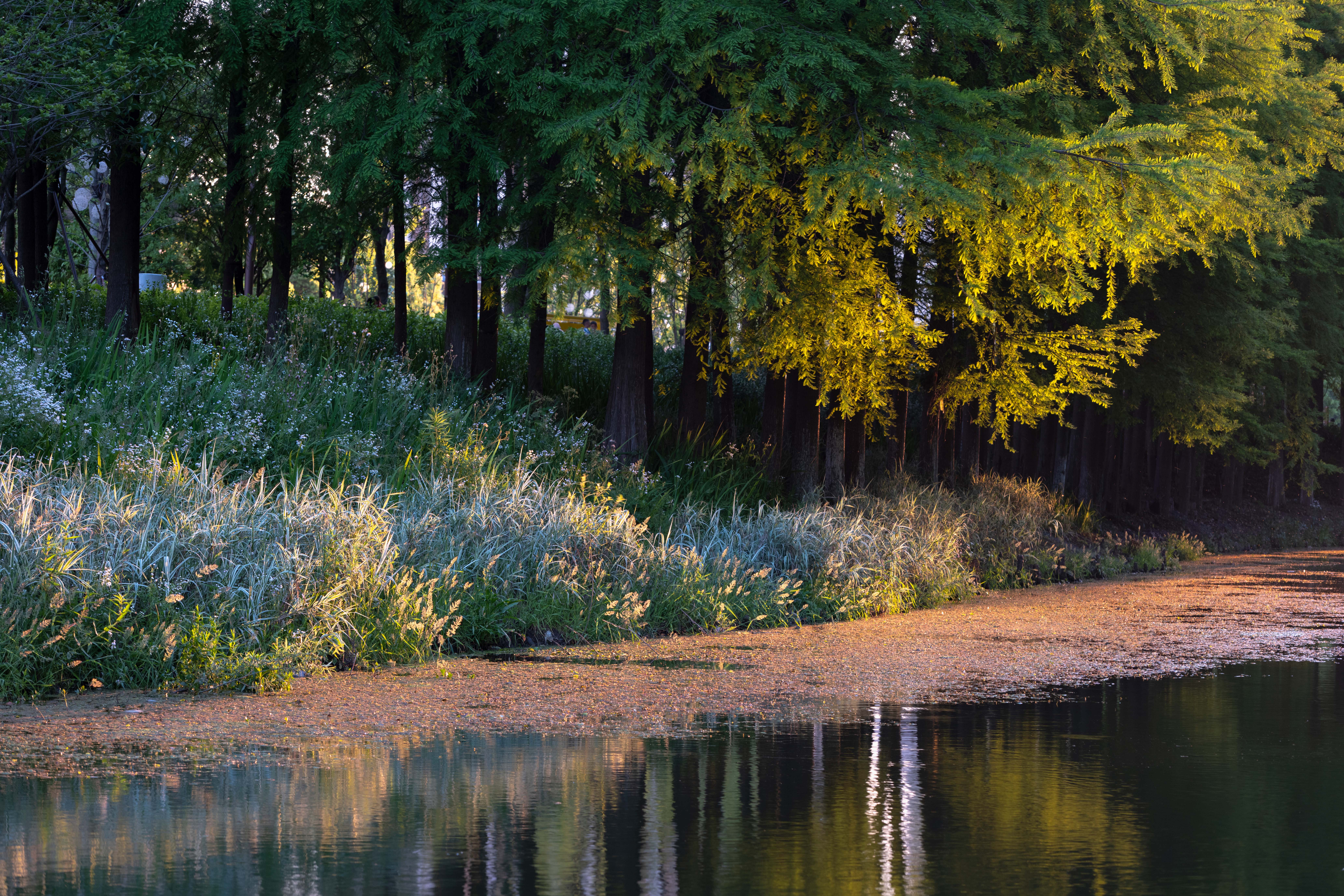 The Orchestra Park by SoBA - Architizer