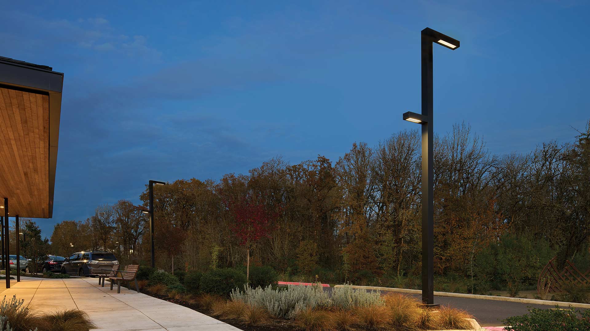 Broadleaf Arbor by Acuity - Architizer