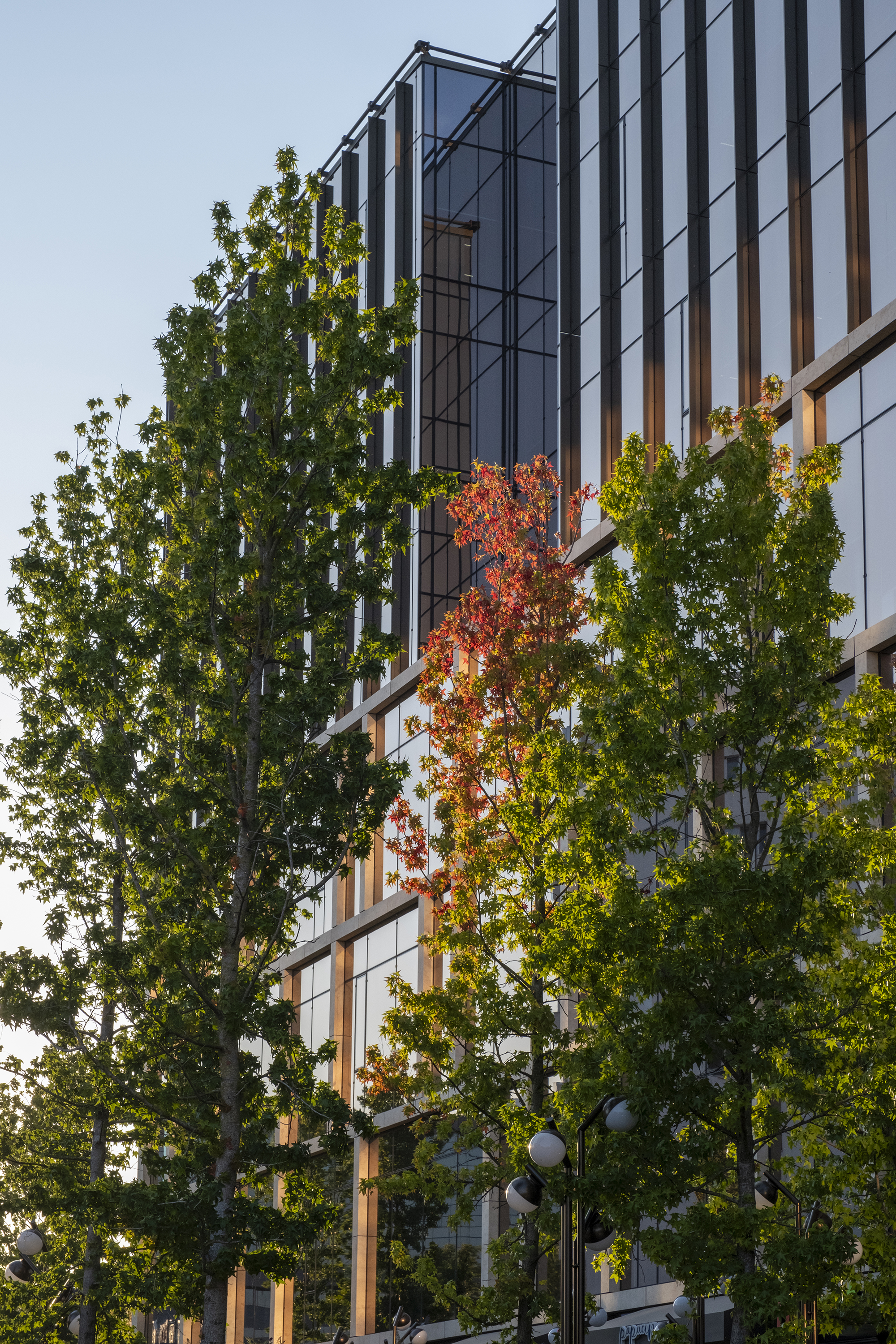 Palas Campus by Yazgan Design Architecture - Architizer