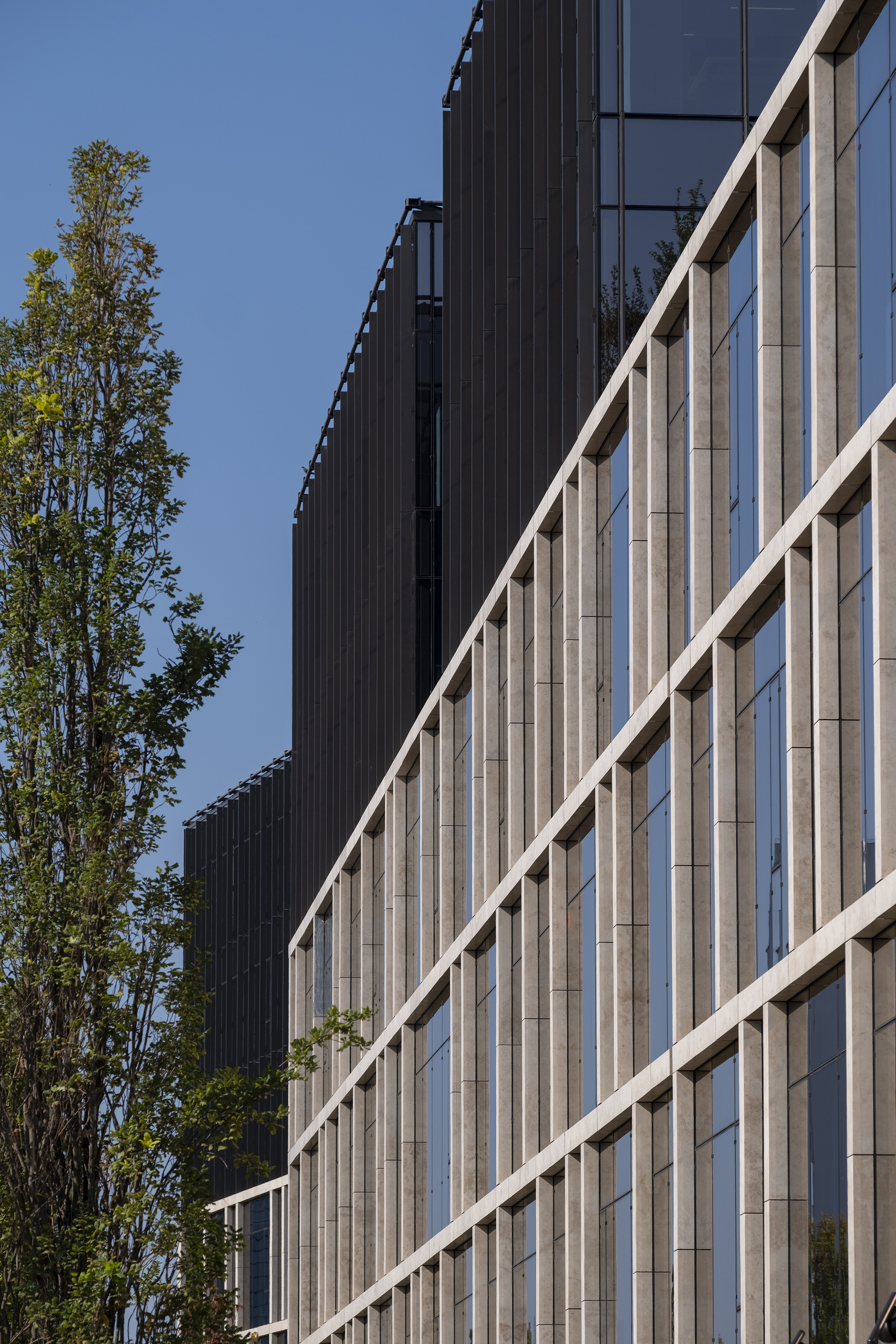 Palas Campus by Yazgan Design Architecture - Architizer