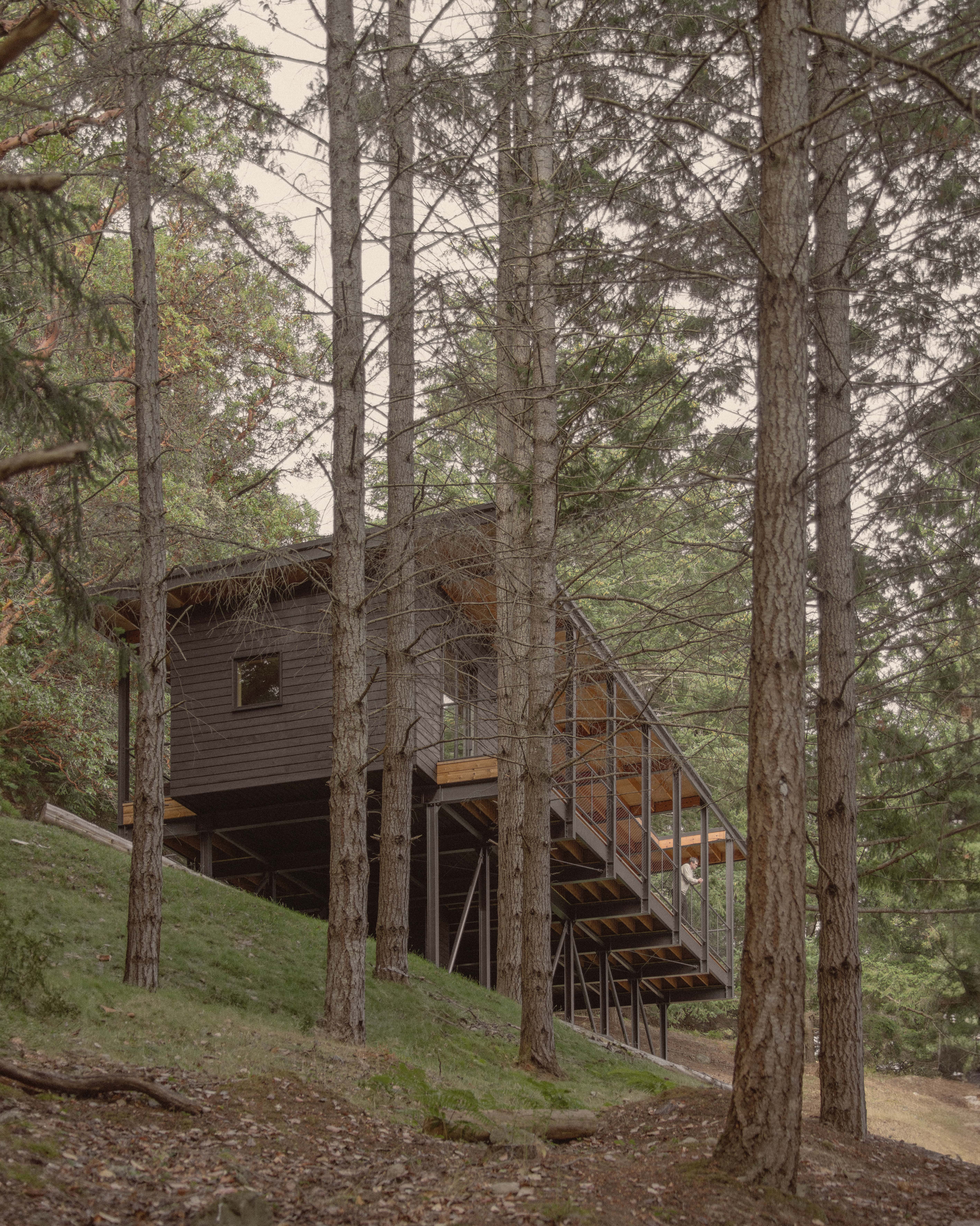Trestle Cabin by The Miller Hull Partnership - Architizer