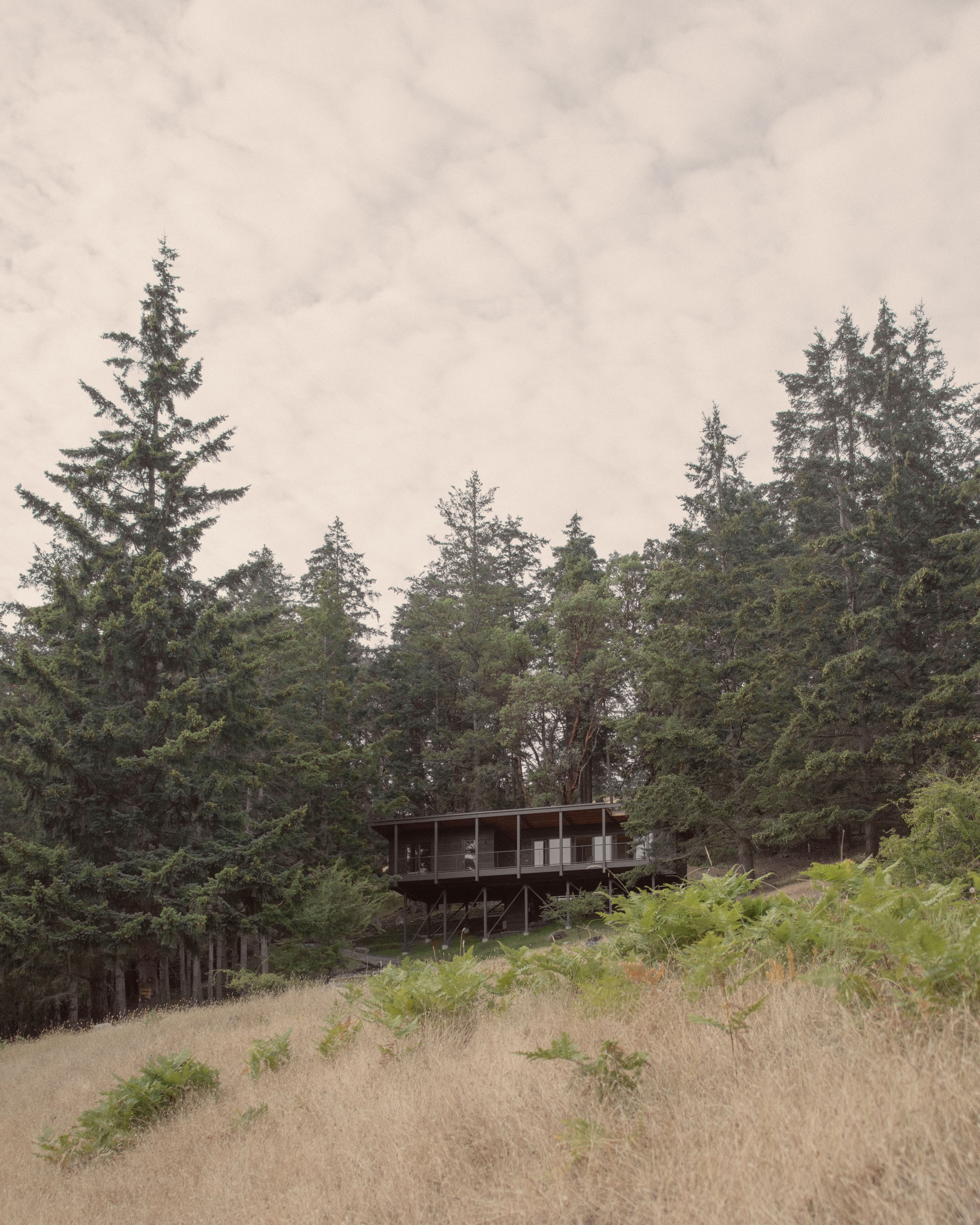 Idea 4246525: Trestle Cabin by The Miller Hull Partnership in United ...