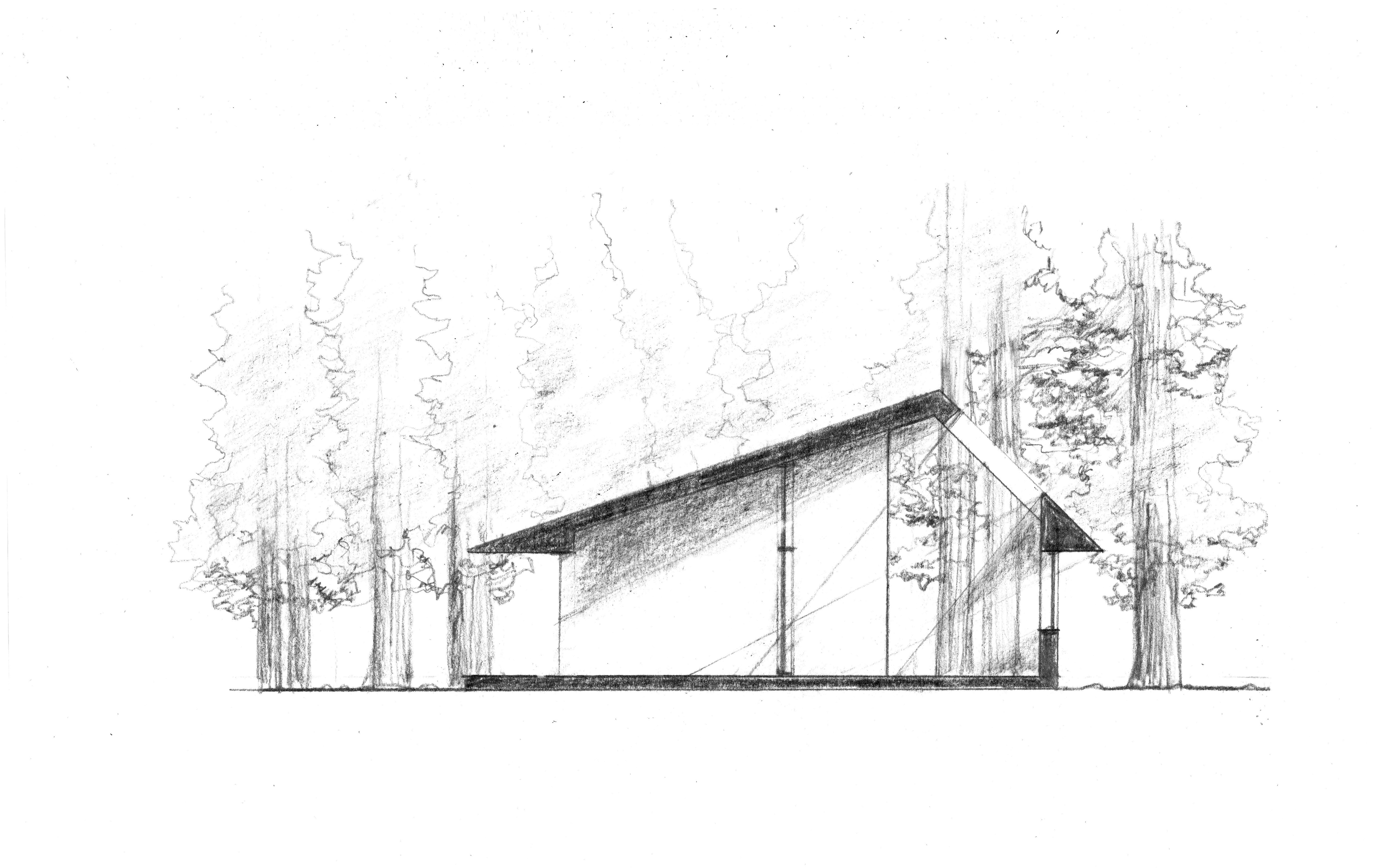 Forest Canopy Cabin by Laura Killam Architecture - Architizer