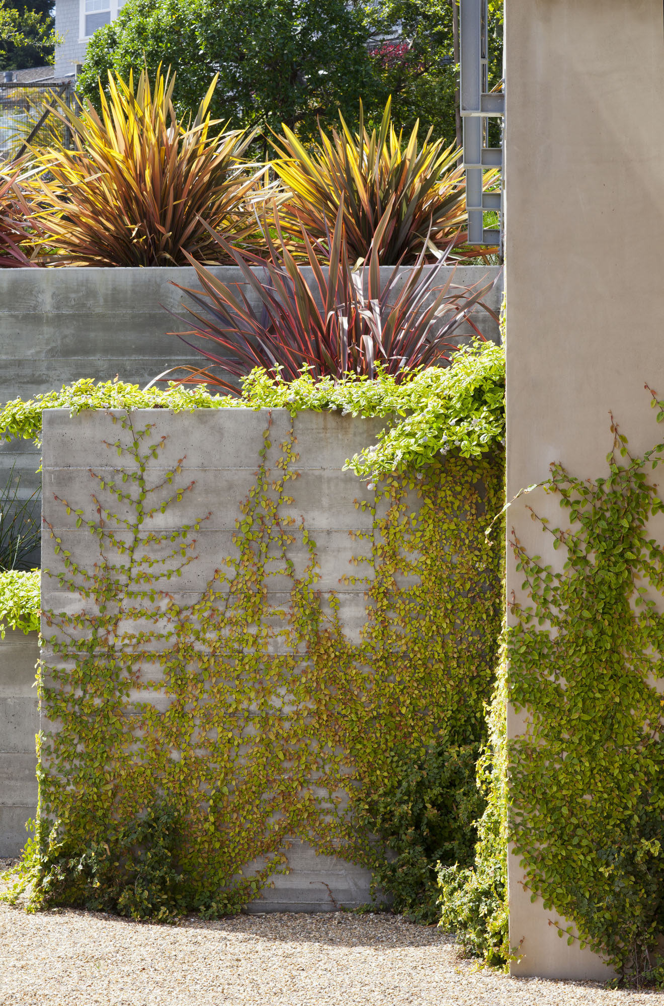 Leed Platinum by the Bay by Shades of Green Landscape Architecture ...