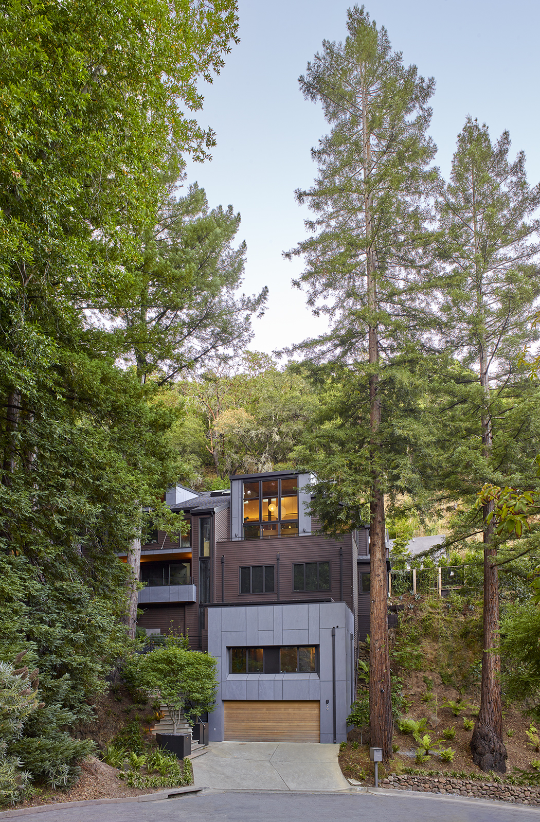 In the Redwoods by Shades of Green Landscape Architecture - Architizer