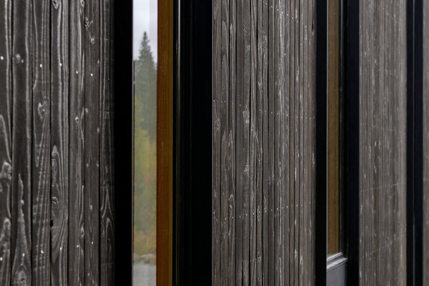 Split Cabin by Syndicate Smith - Architizer