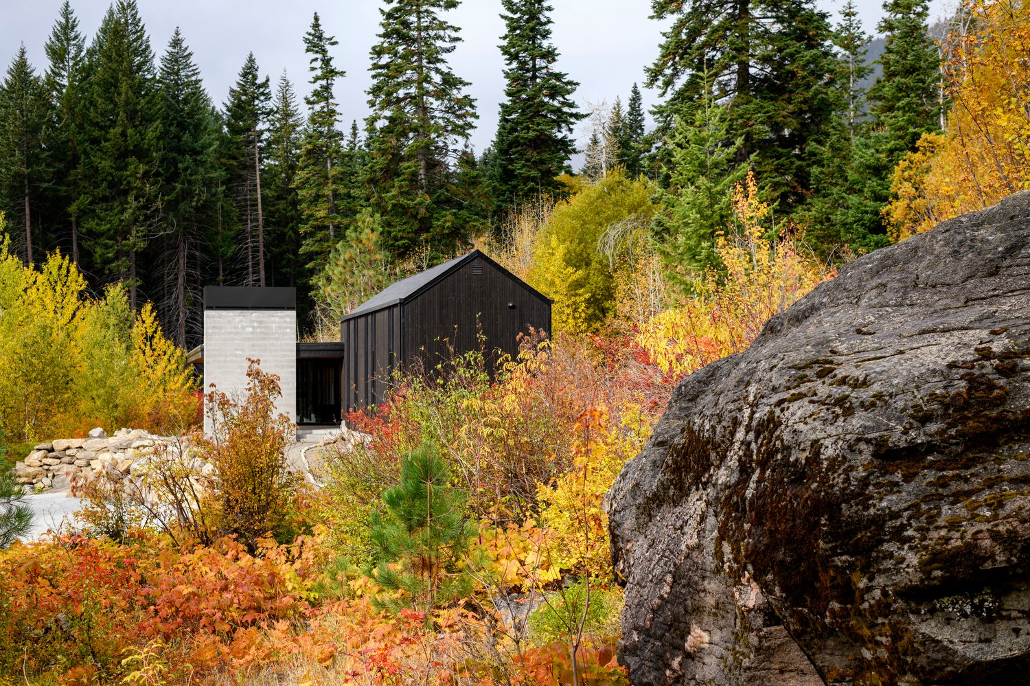 Split Cabin by Syndicate Smith - Architizer