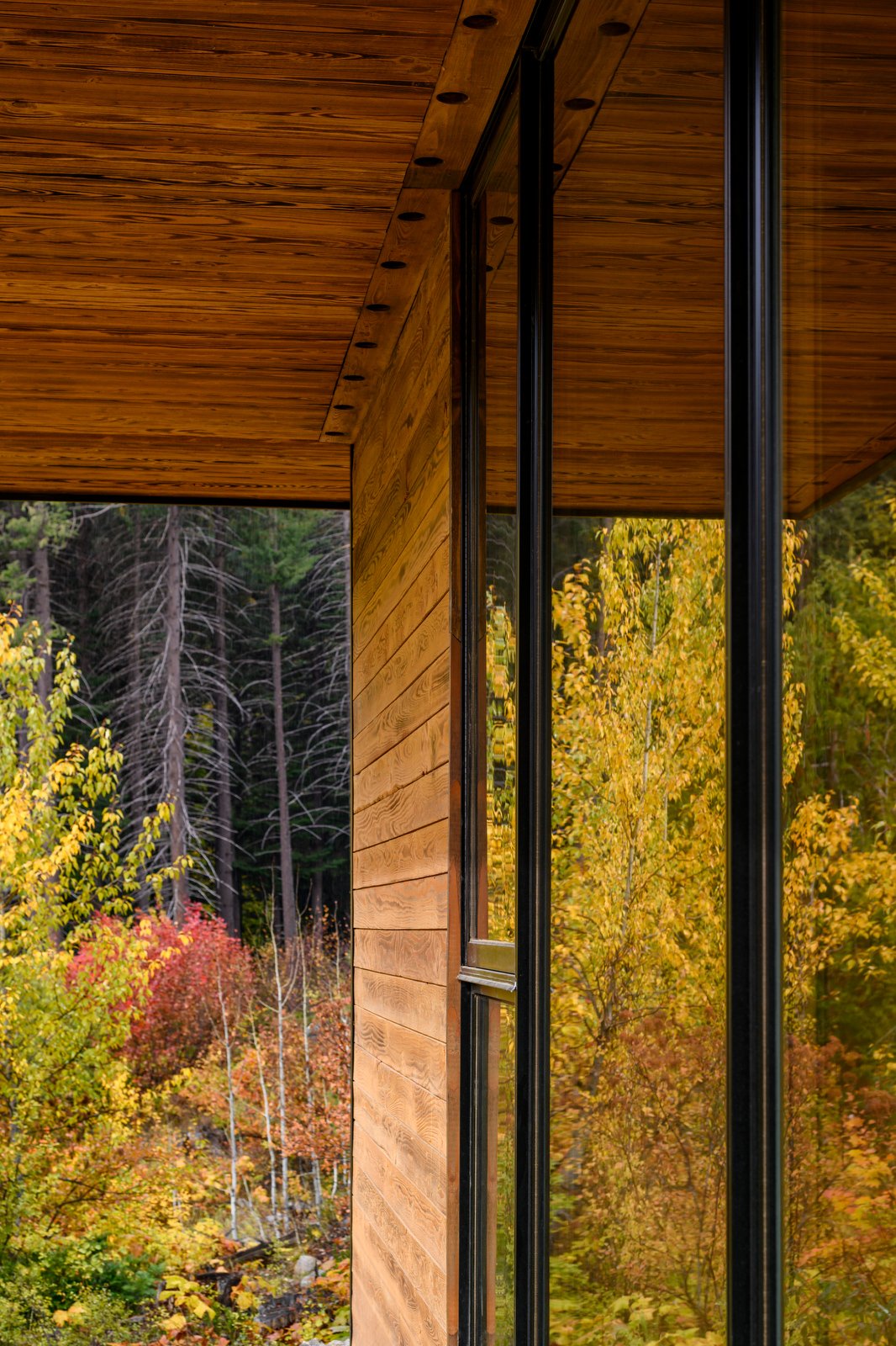 Split Cabin by Syndicate Smith - Architizer