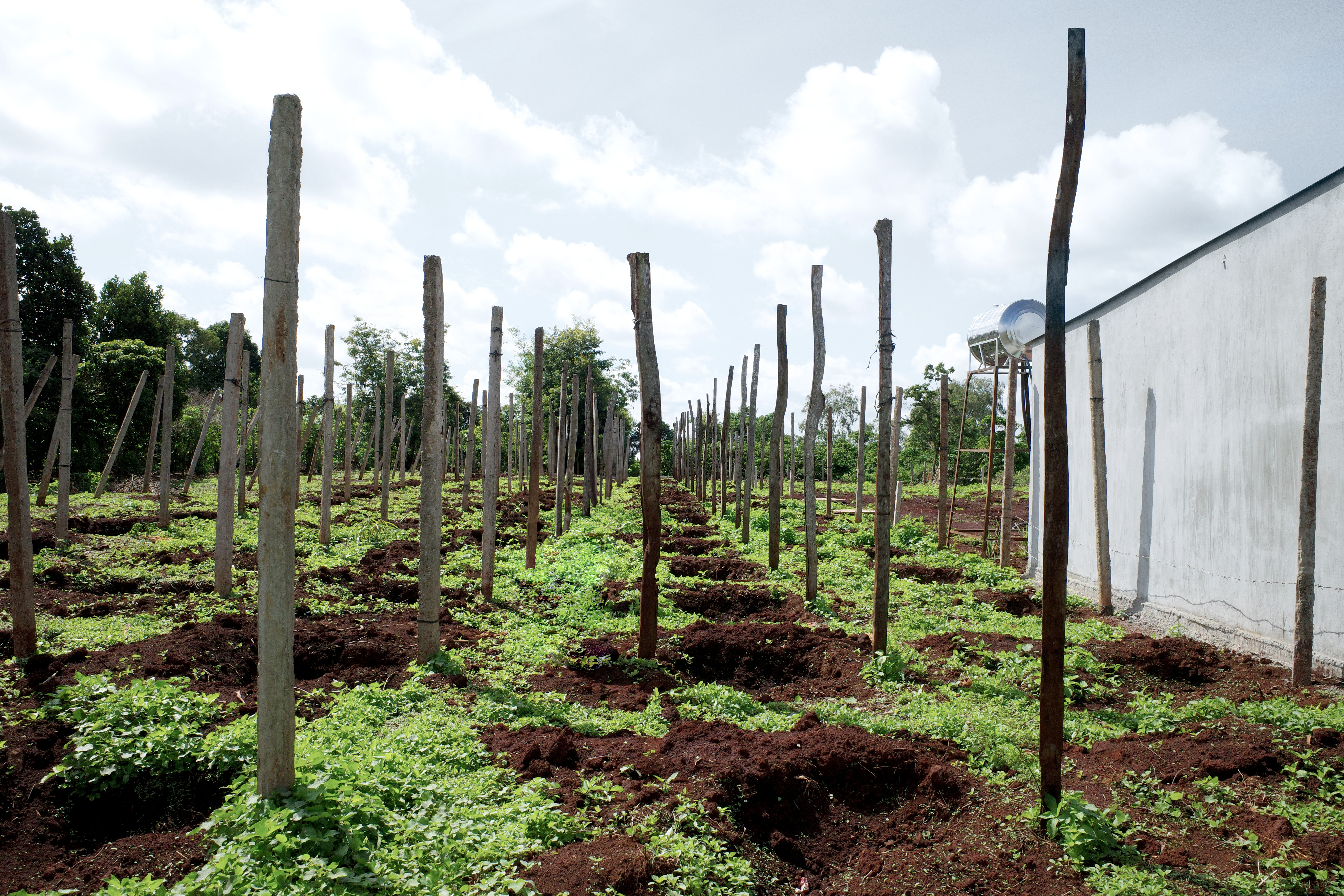 Angin Cloud - an art installation at the National Gallery Singapore by ...