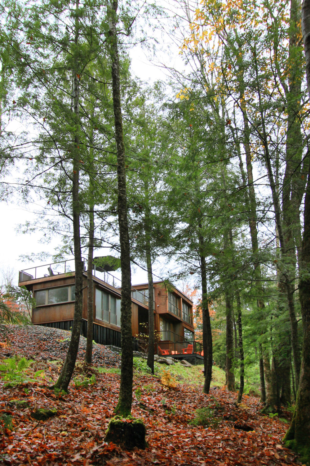 Rocky Brook weeHouse by Alchemy Architects - Architizer