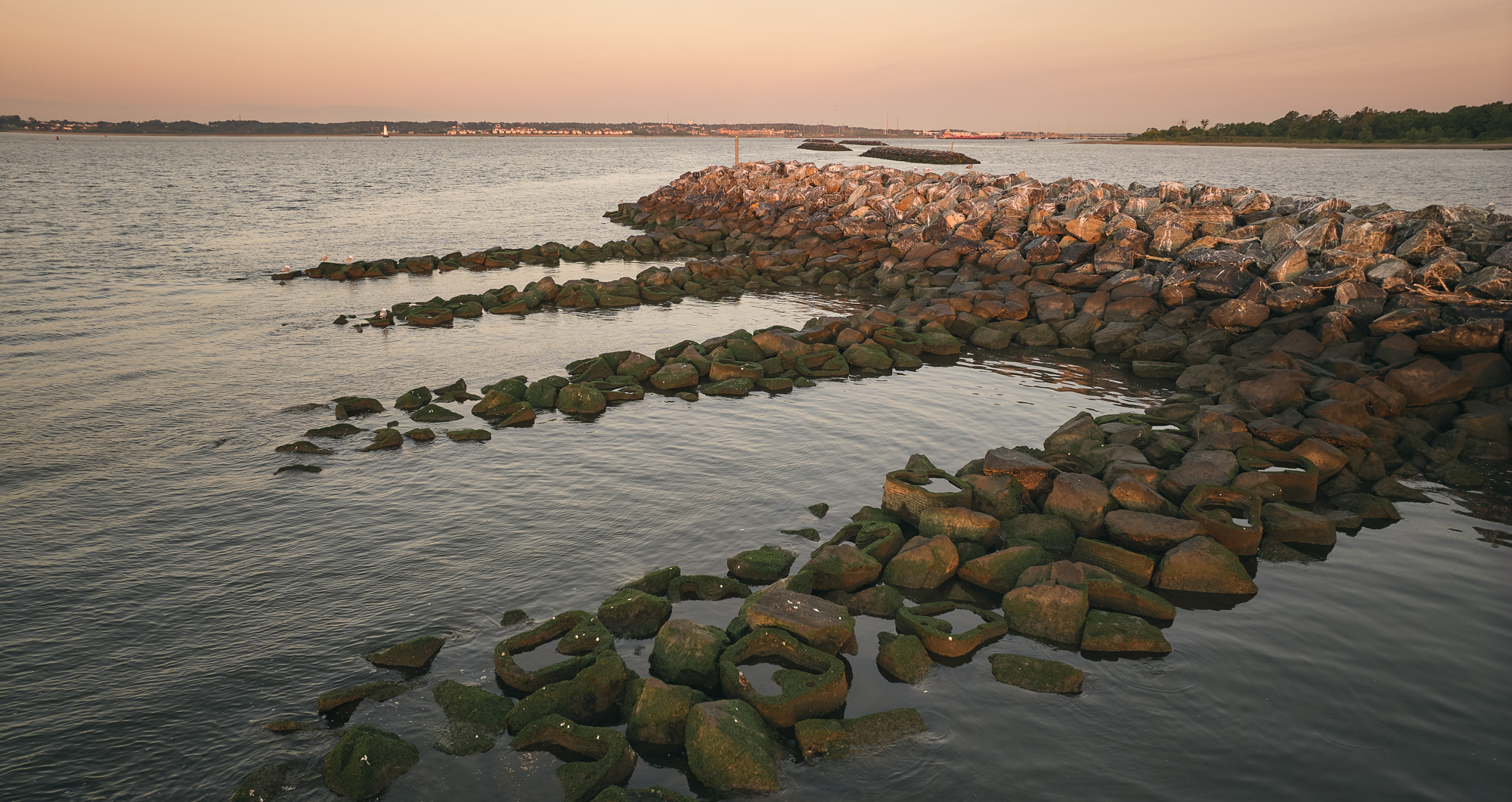 Living Breakwaters by SCAPE LANDSCAPE ARCHITECTURE DPC - Architizer