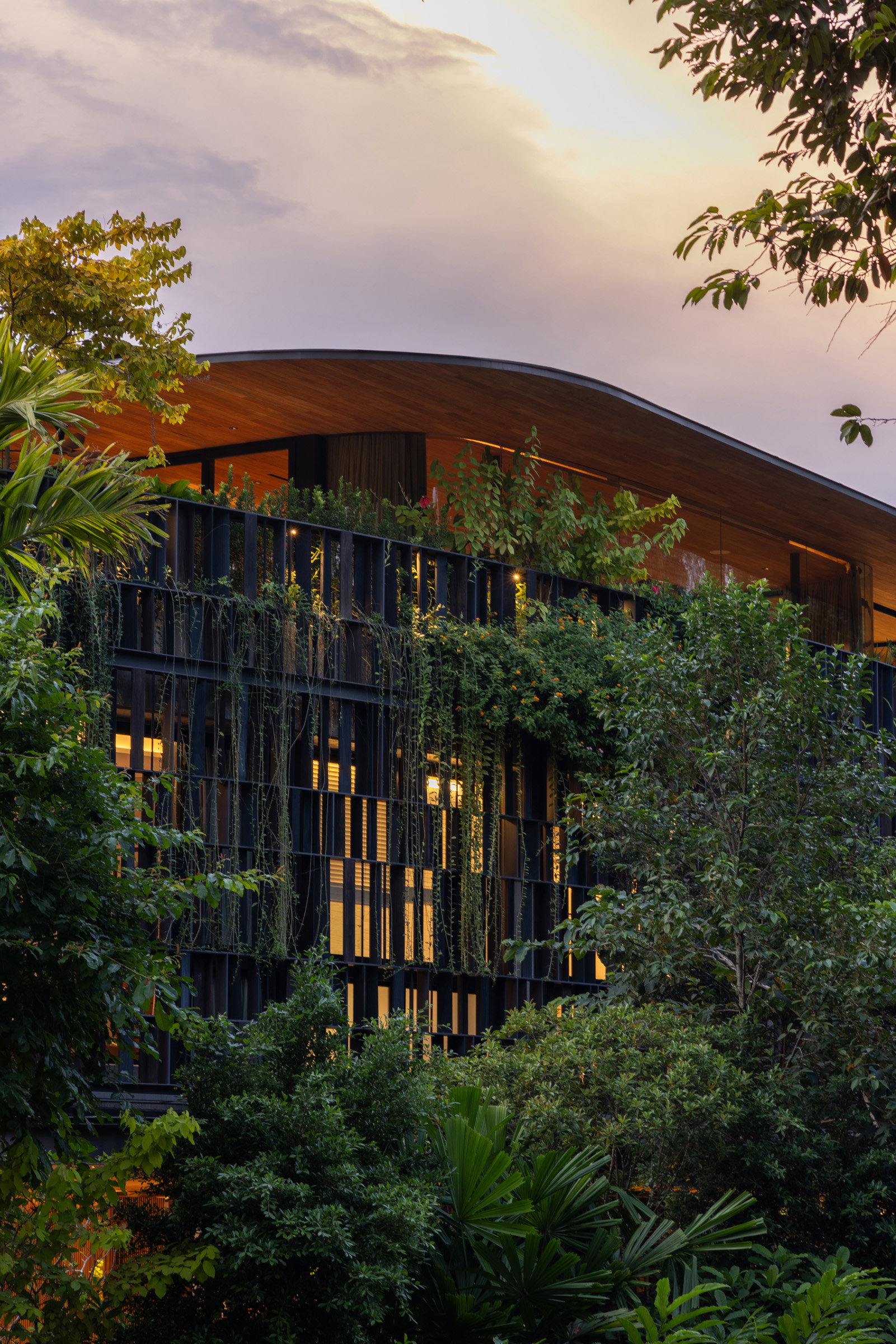 Touching Eden House by Wallflower Architecture + Design - Architizer