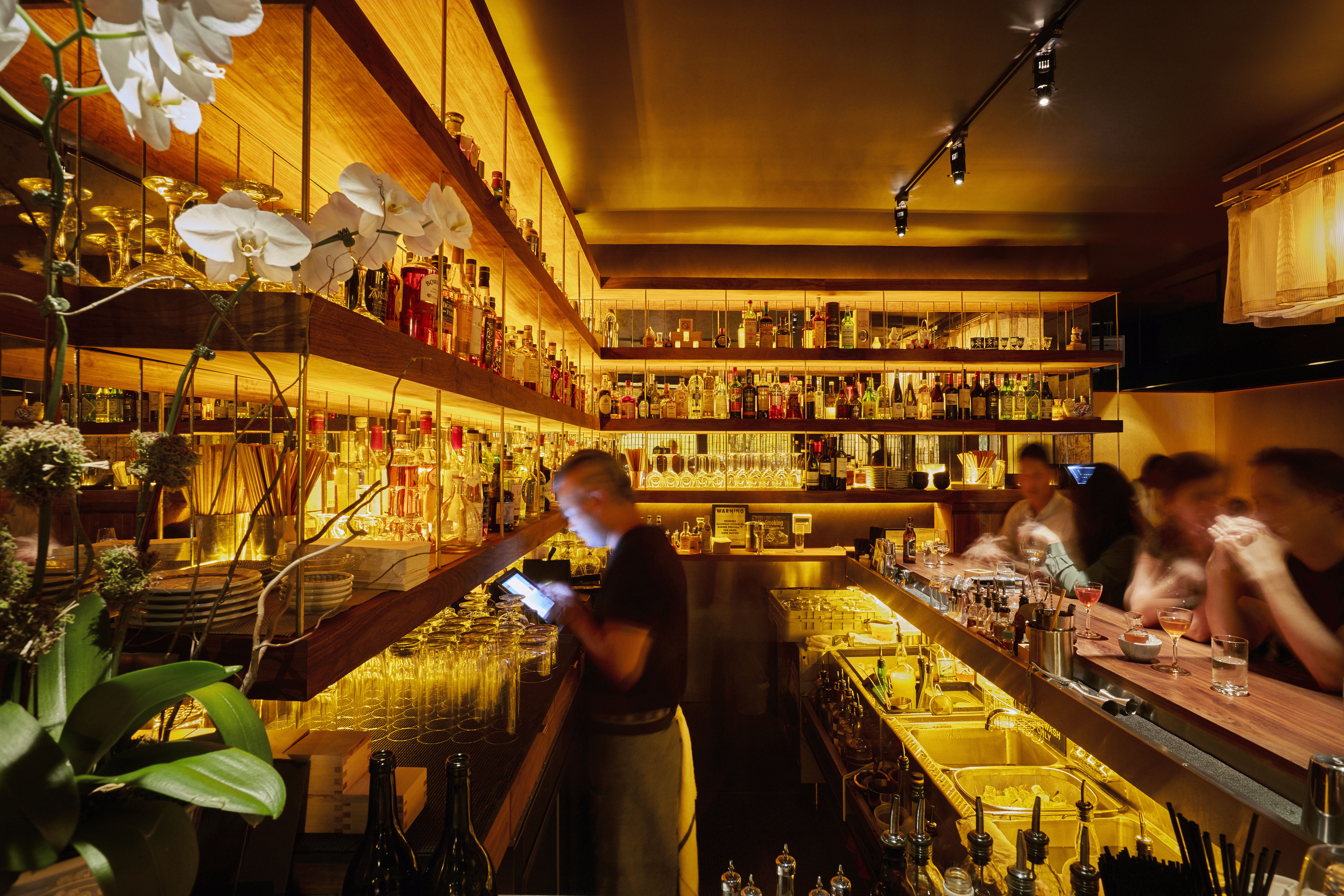 Bar Goto by Andrew Wilkinson Architect - PLLC - Architizer