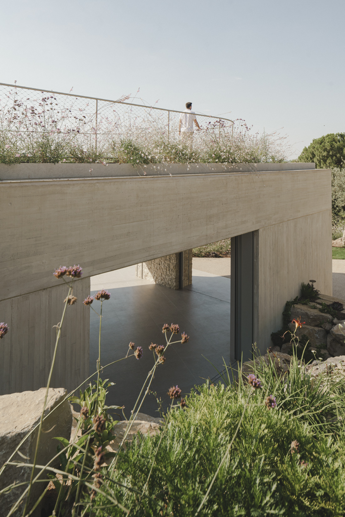 Lookout House by ERRE - Architizer