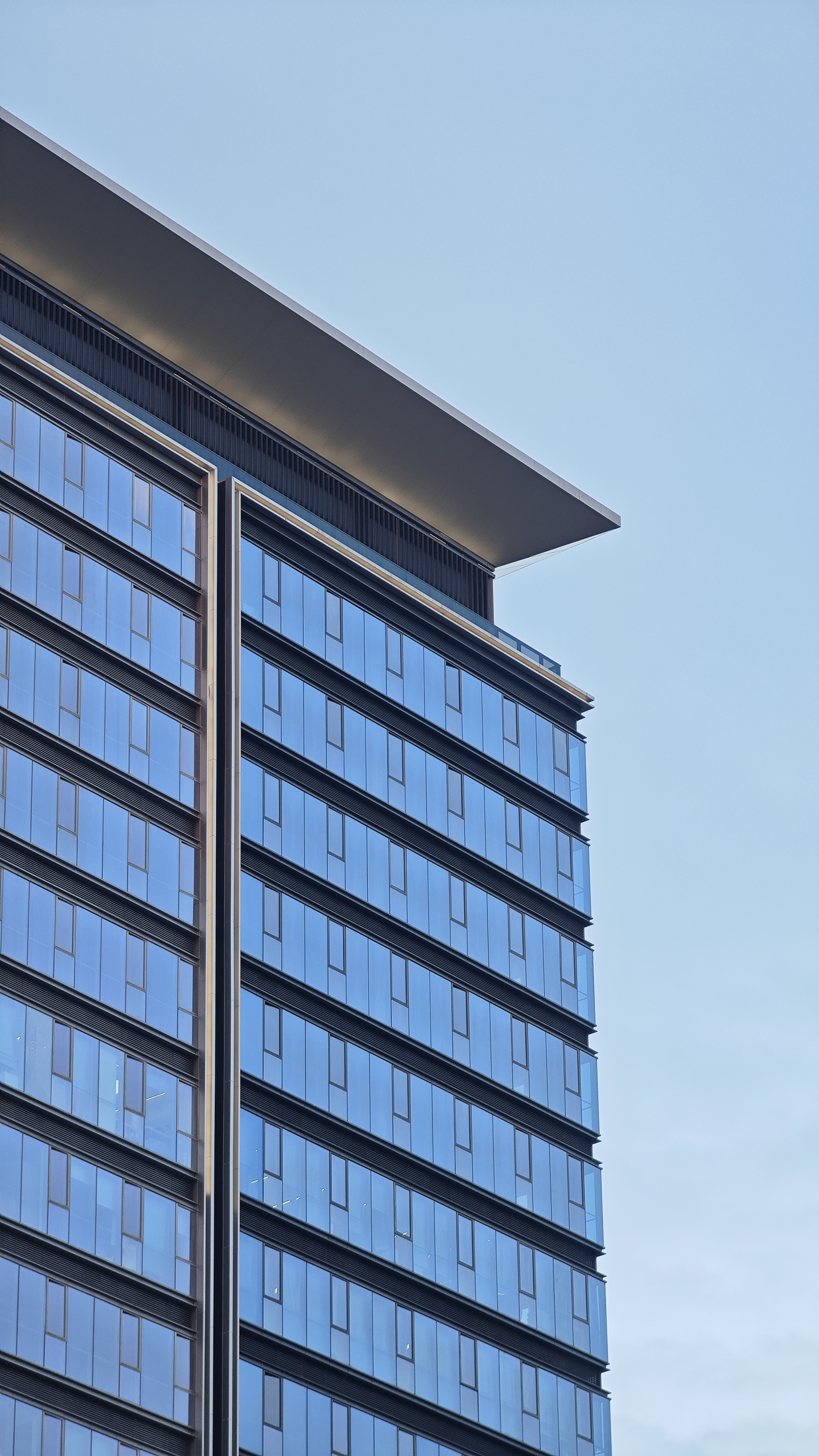 Populus X by QUAD Studio - Architizer