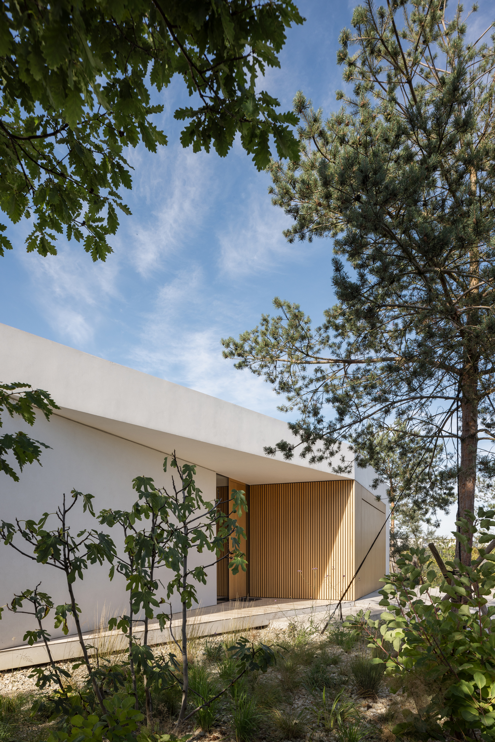 House with Gills by BEEF ARCHITEKTI - Architizer