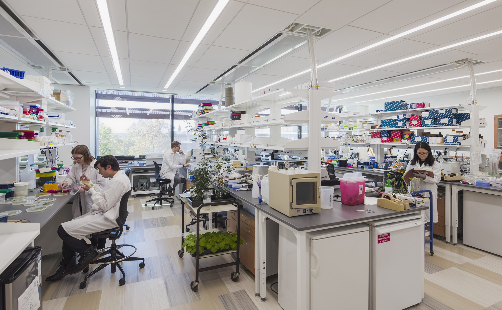 Yale Science Building by Pelli Clarke & Partners - Architizer